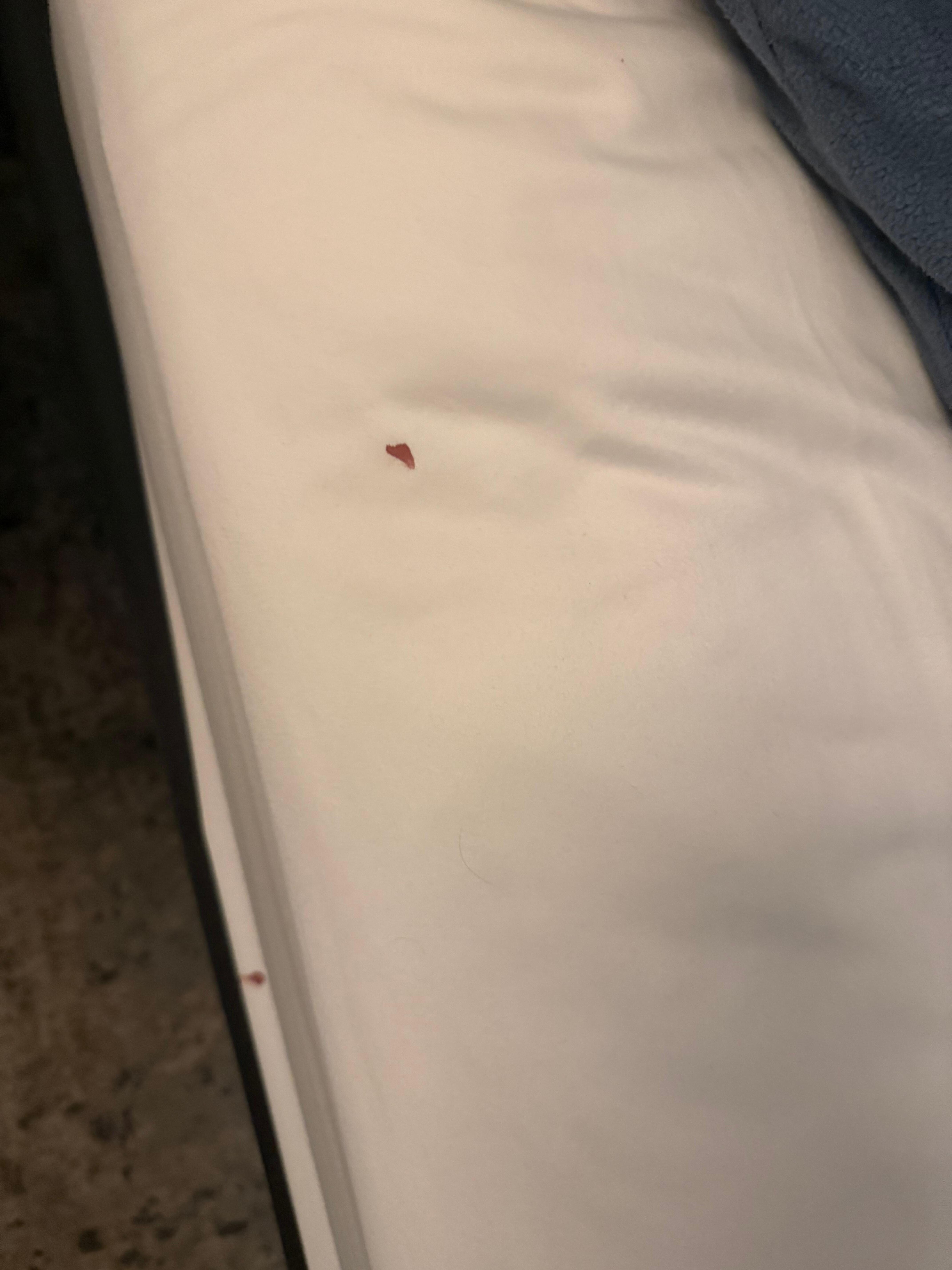 2 drops of blood on the sheets 