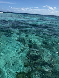 Snorkelling with Blue lagoon dive