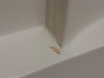 Hair left on bath tub.