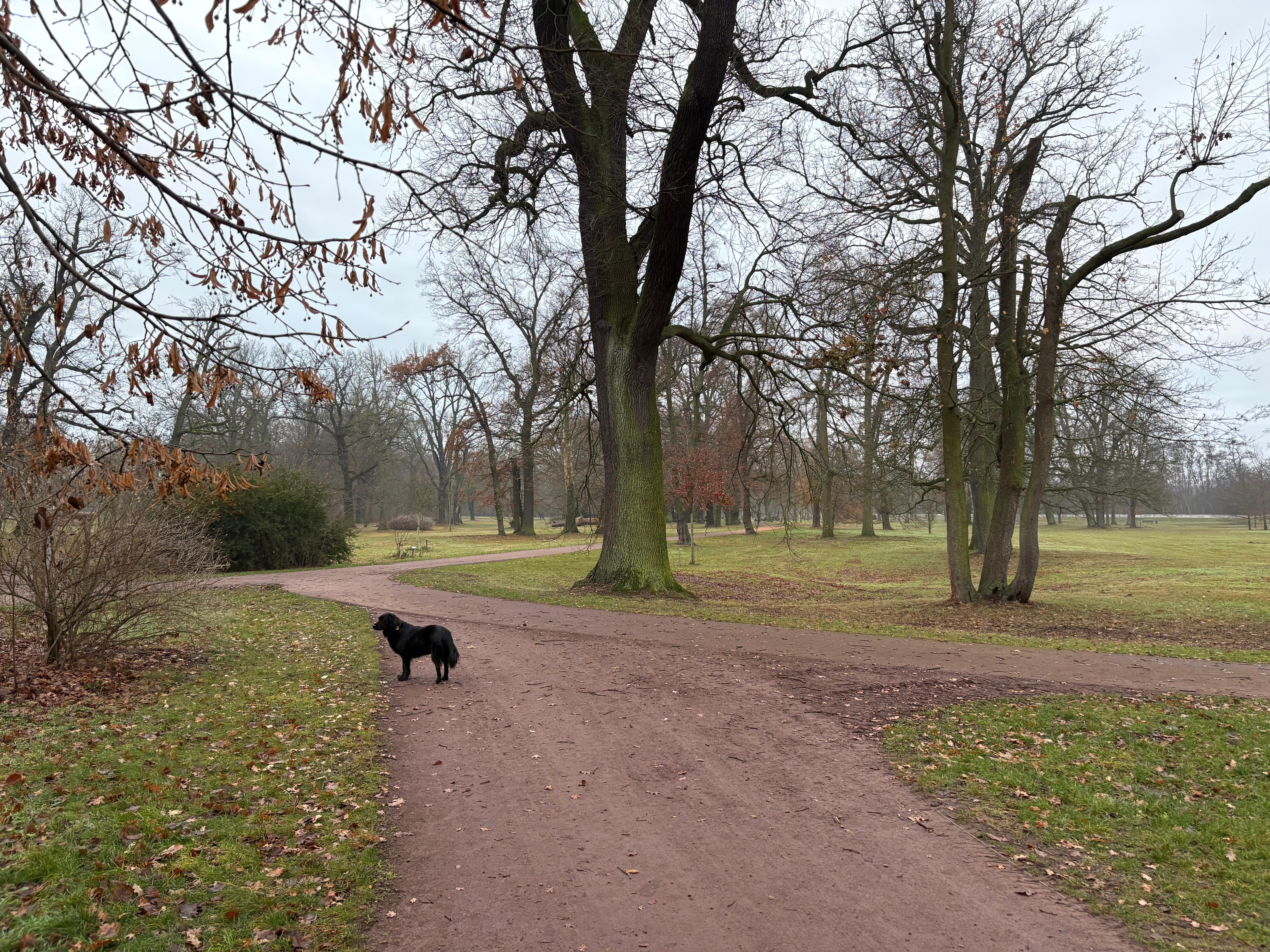 Einen wunderschönen Parkanlage. 