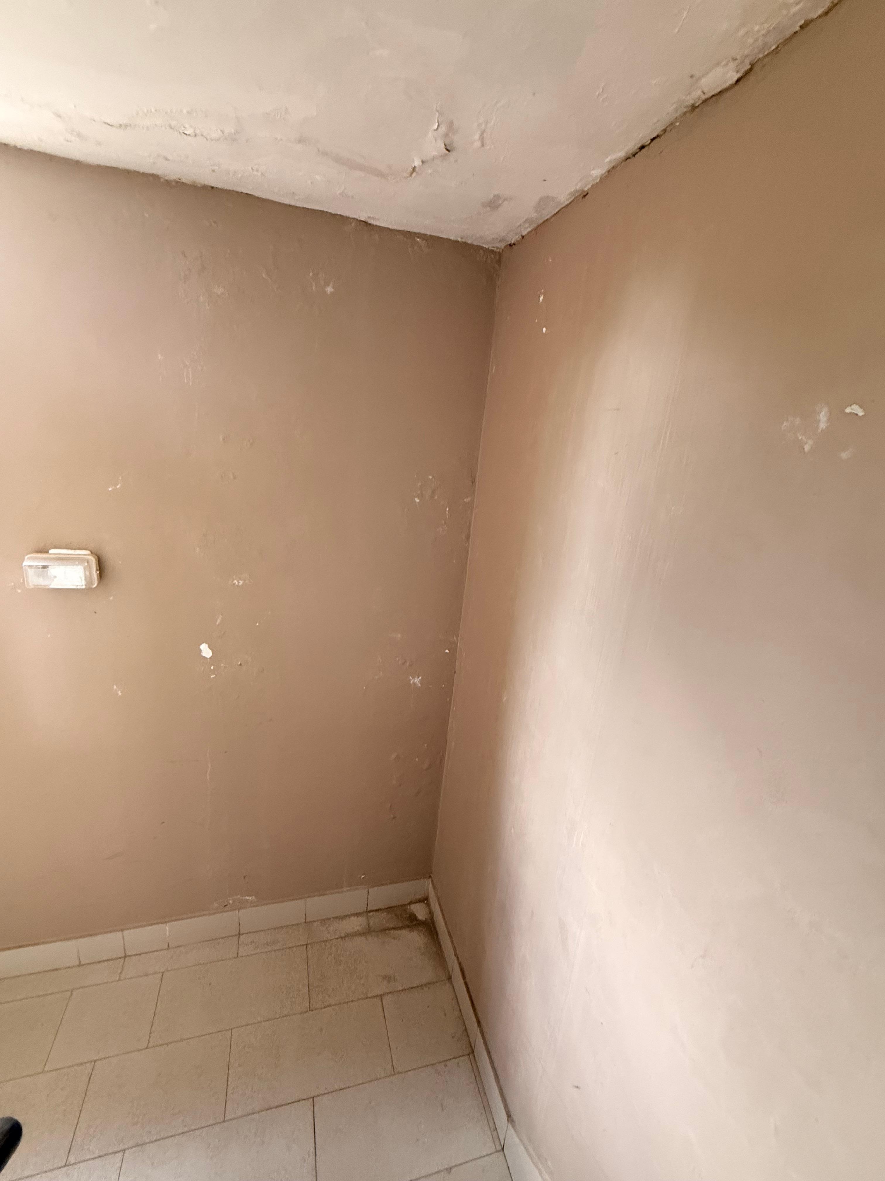 Lots of unsightly damp and weathering issues and generally poor upkeep and maintenance throughout the facility.