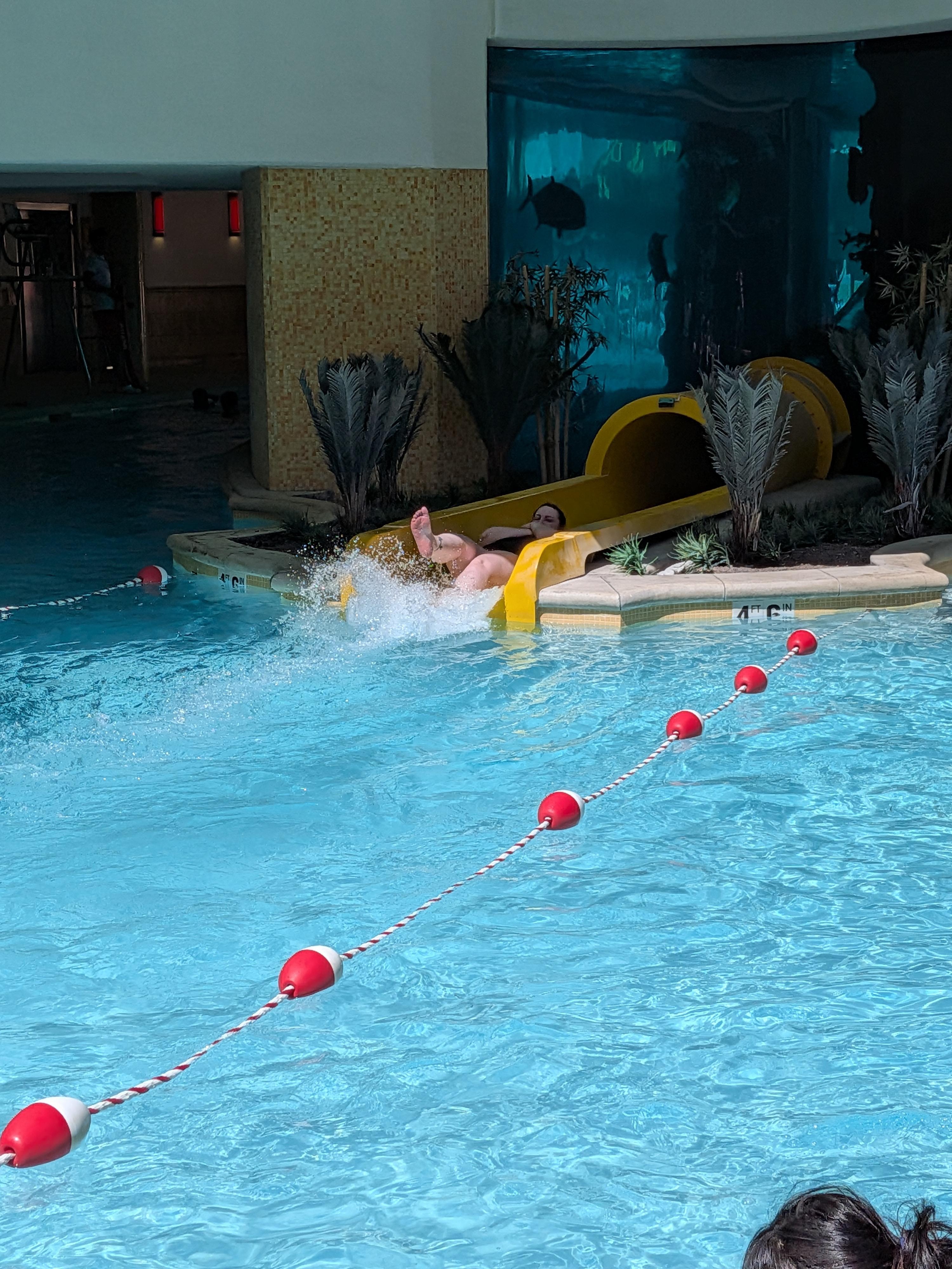 Waterslide going through the shark tank at the pool.