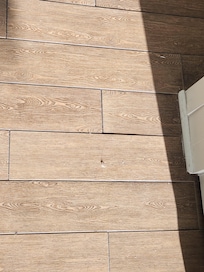 Hair and dust on the floor