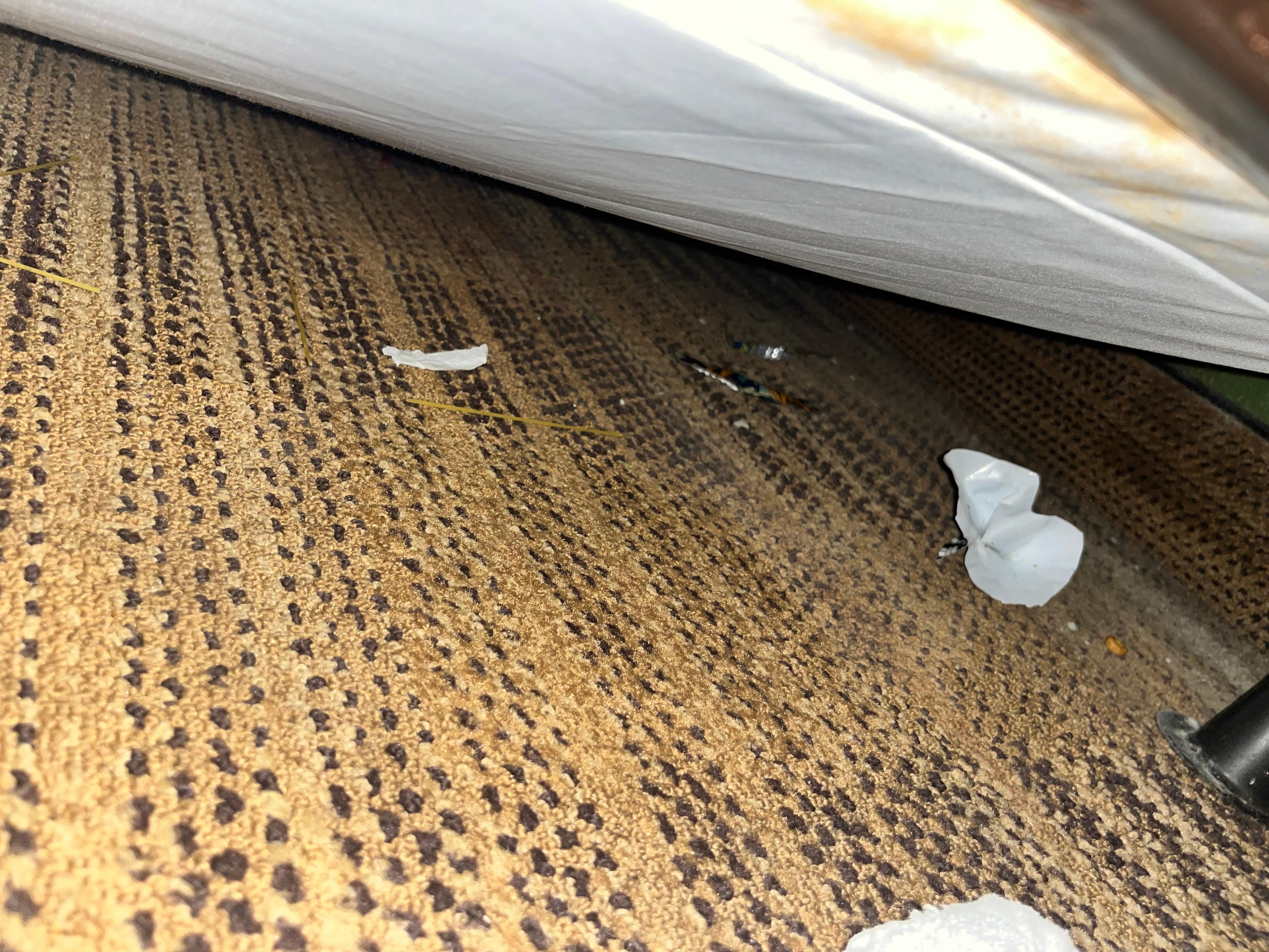 Old pasta, cat food & trash under the bed 