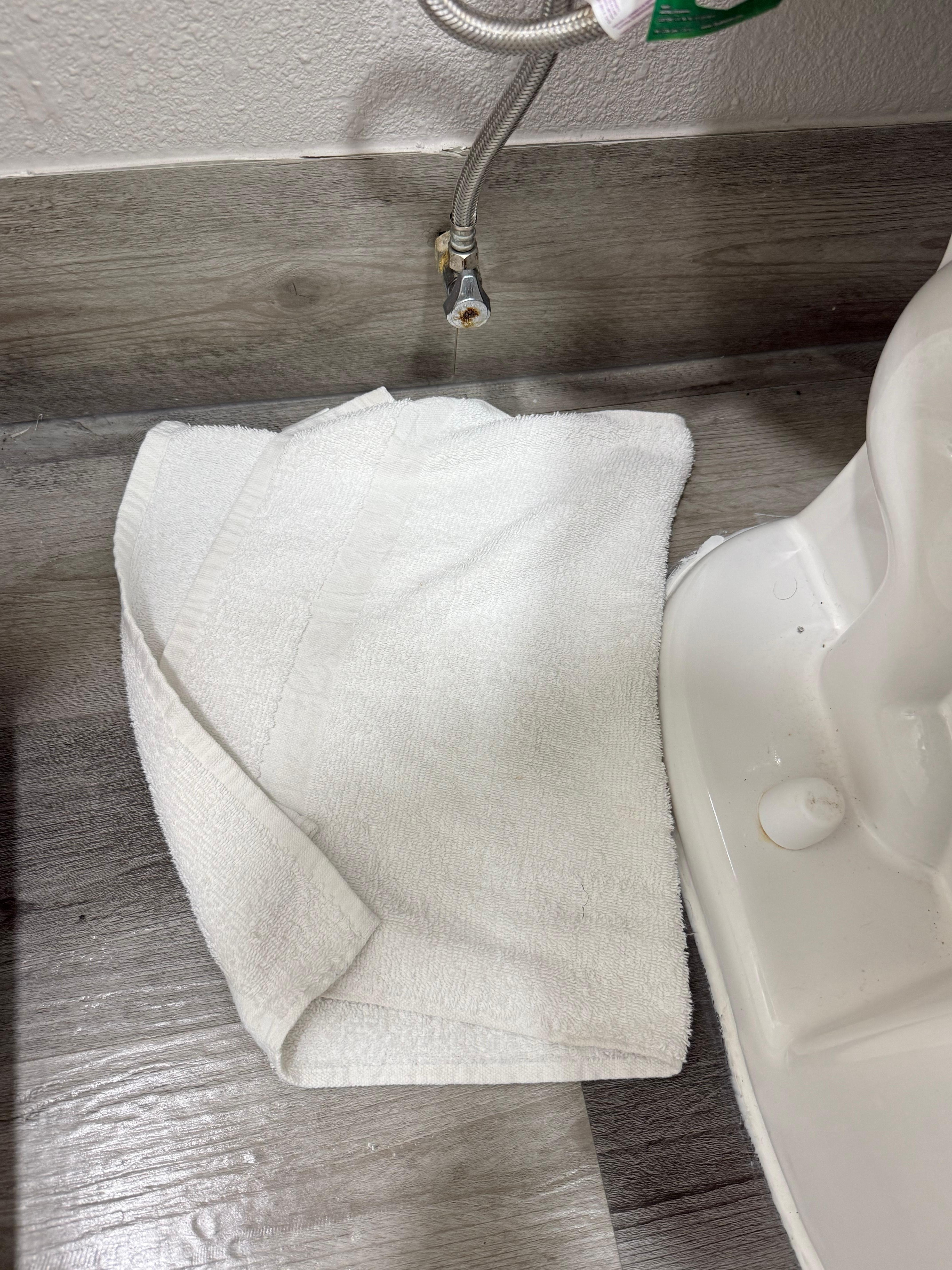 Standing water near toilet bowl: possible toilet seal problem, and hair on porcelain. 