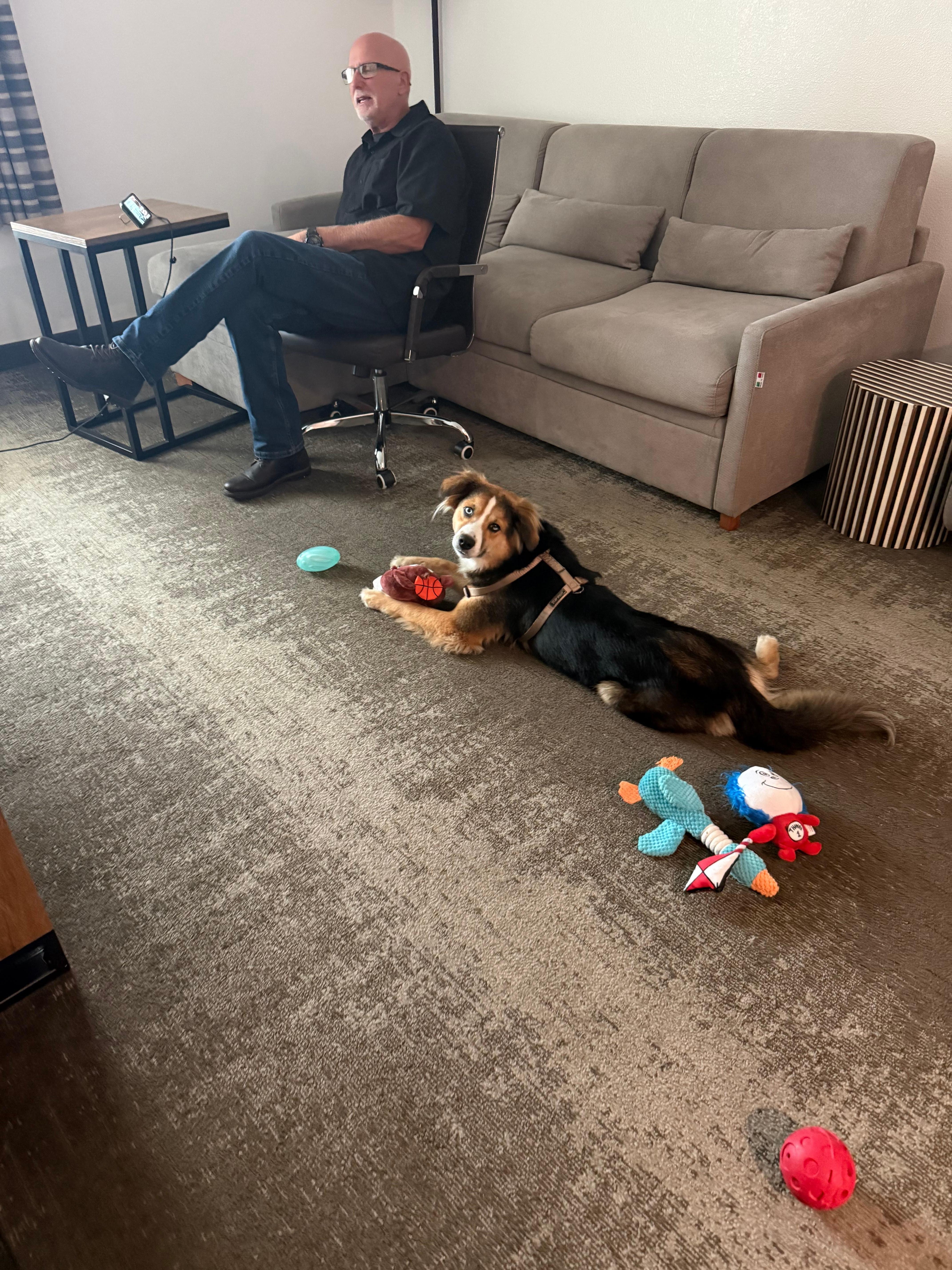 Our Pup Sadie loved the suite