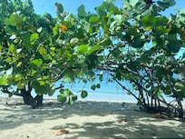 View from bedroom window