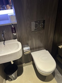 This is the left side of the shower/toilet/sink room.