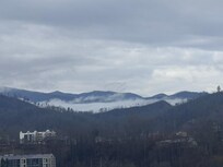 Love the Smokies