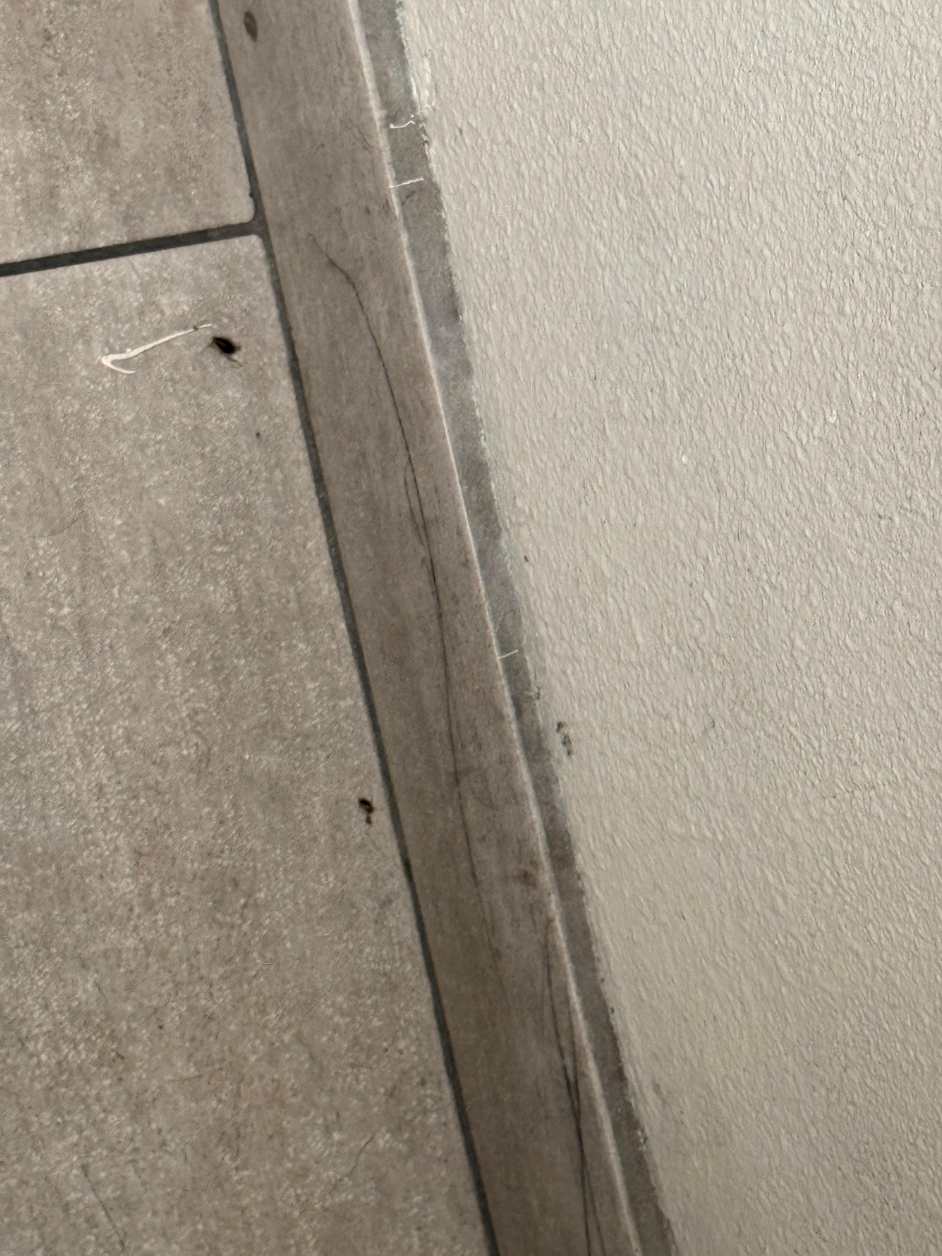 Small roaches coming out of nowhere