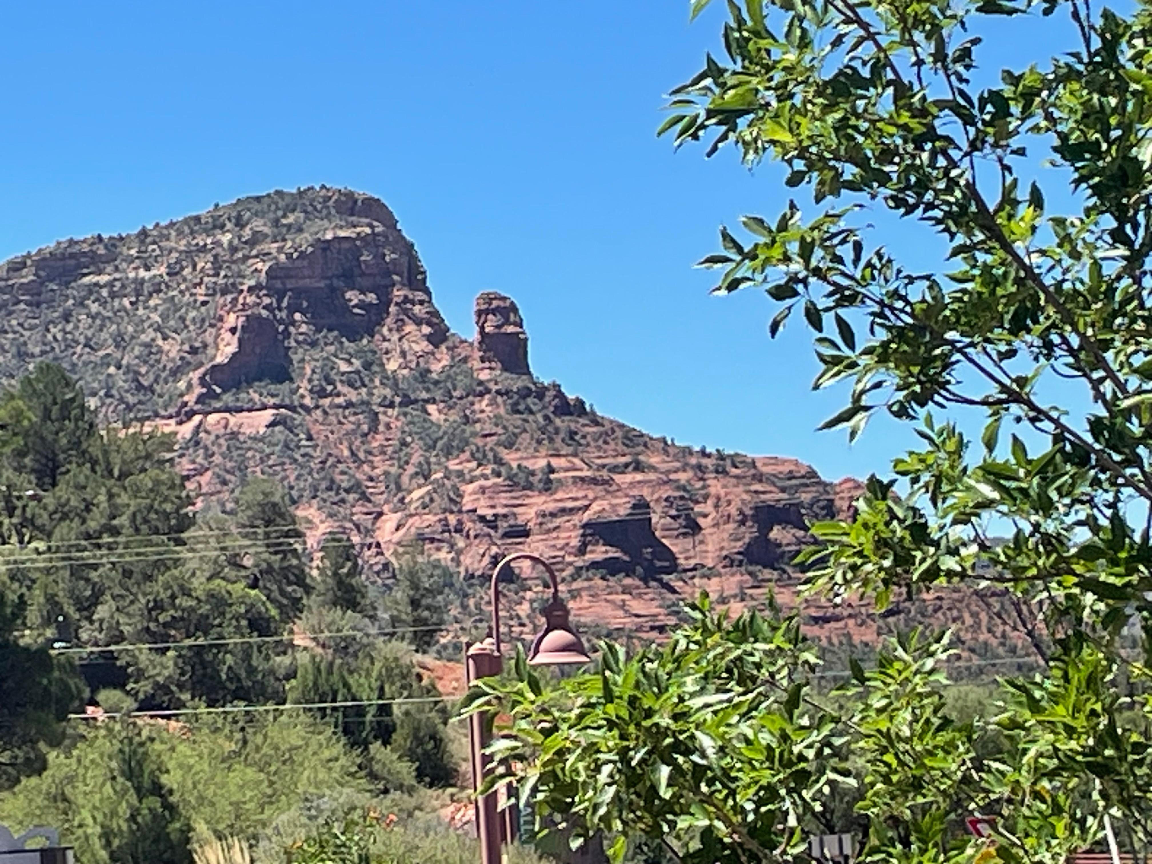 Property Views
