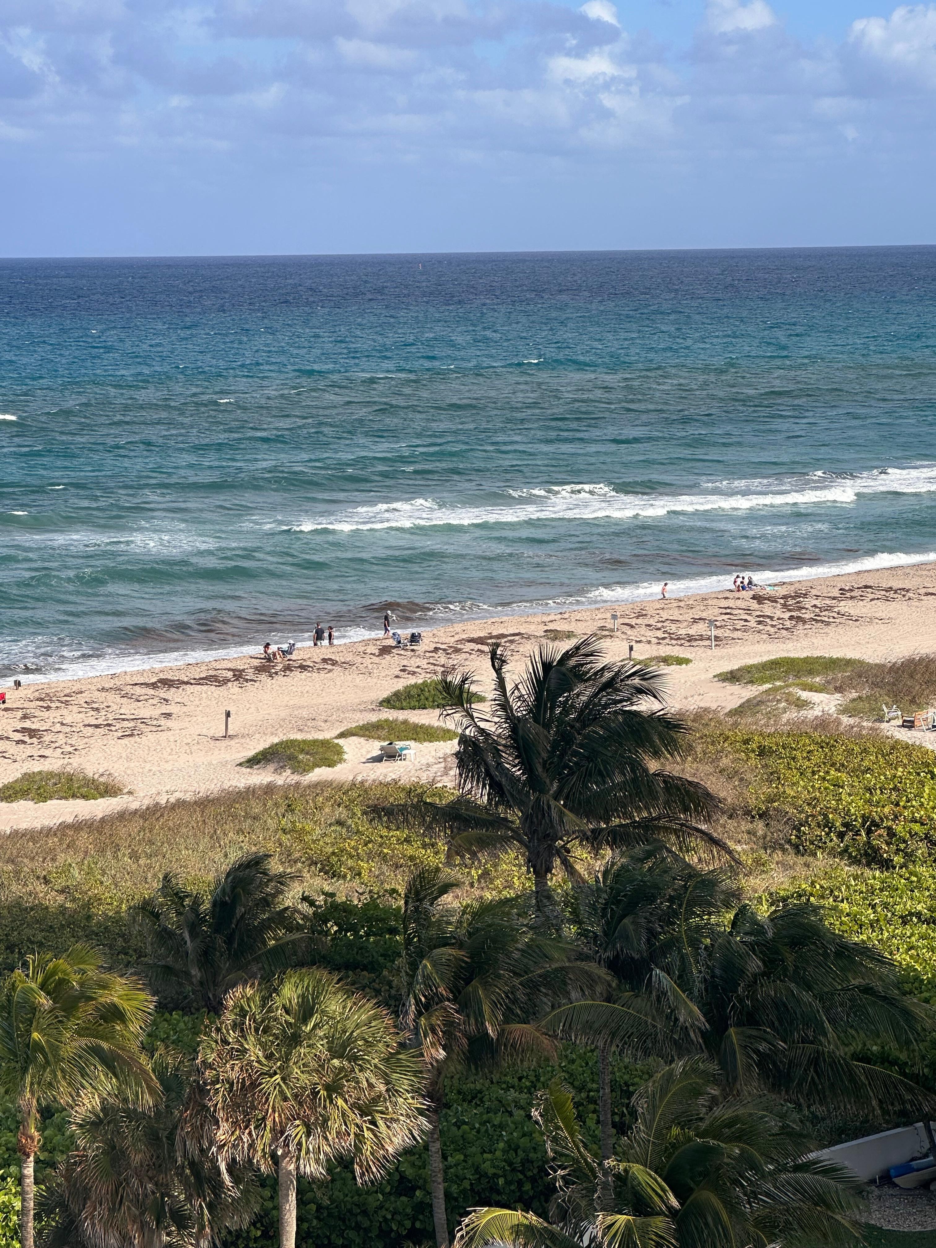 Another view from my room.