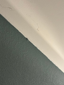 Cobwebs all over the ceiling