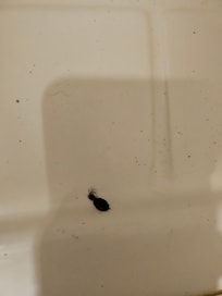 Sanitaires non nettoyés