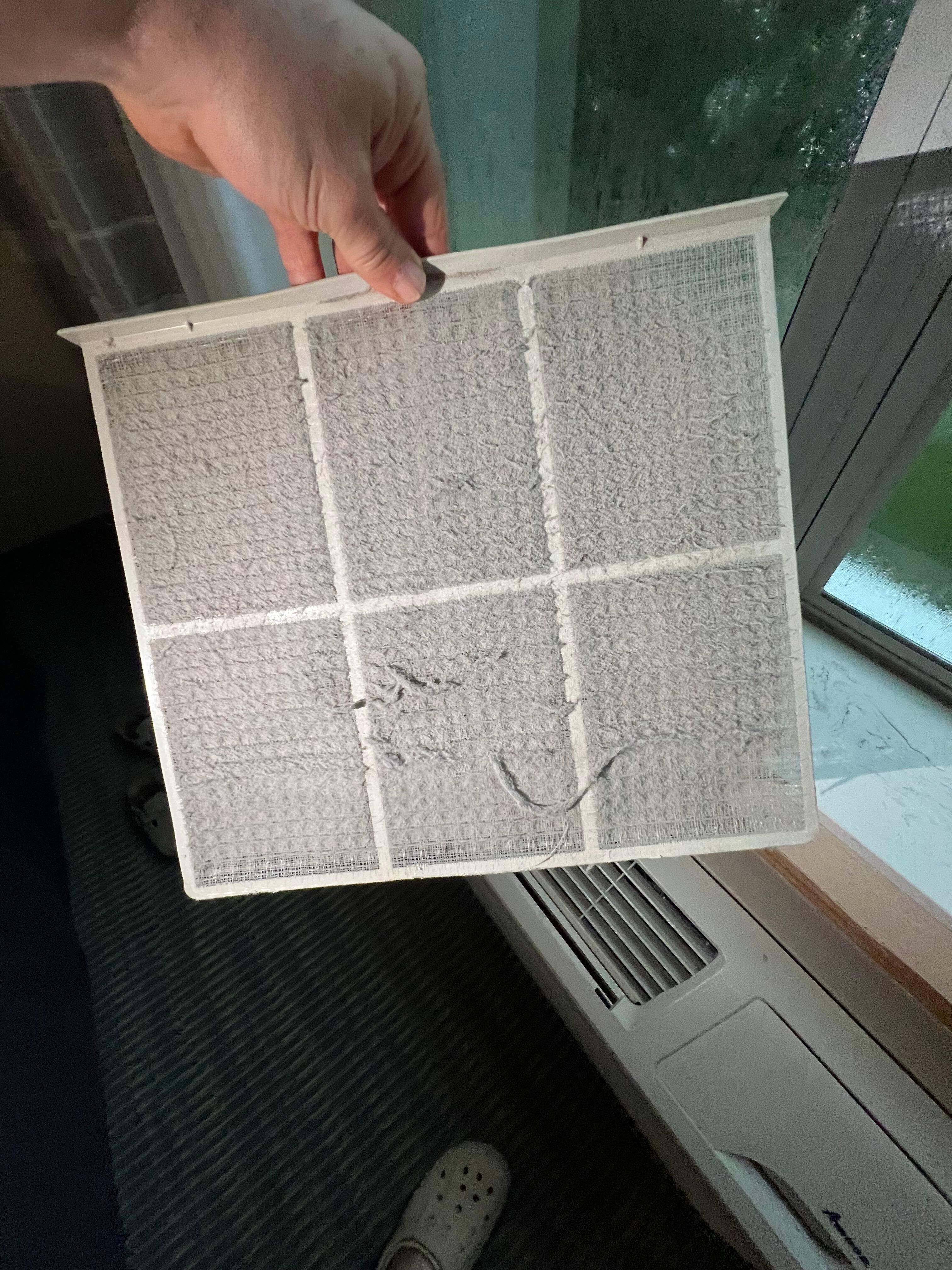 Filthy air conditioner filter