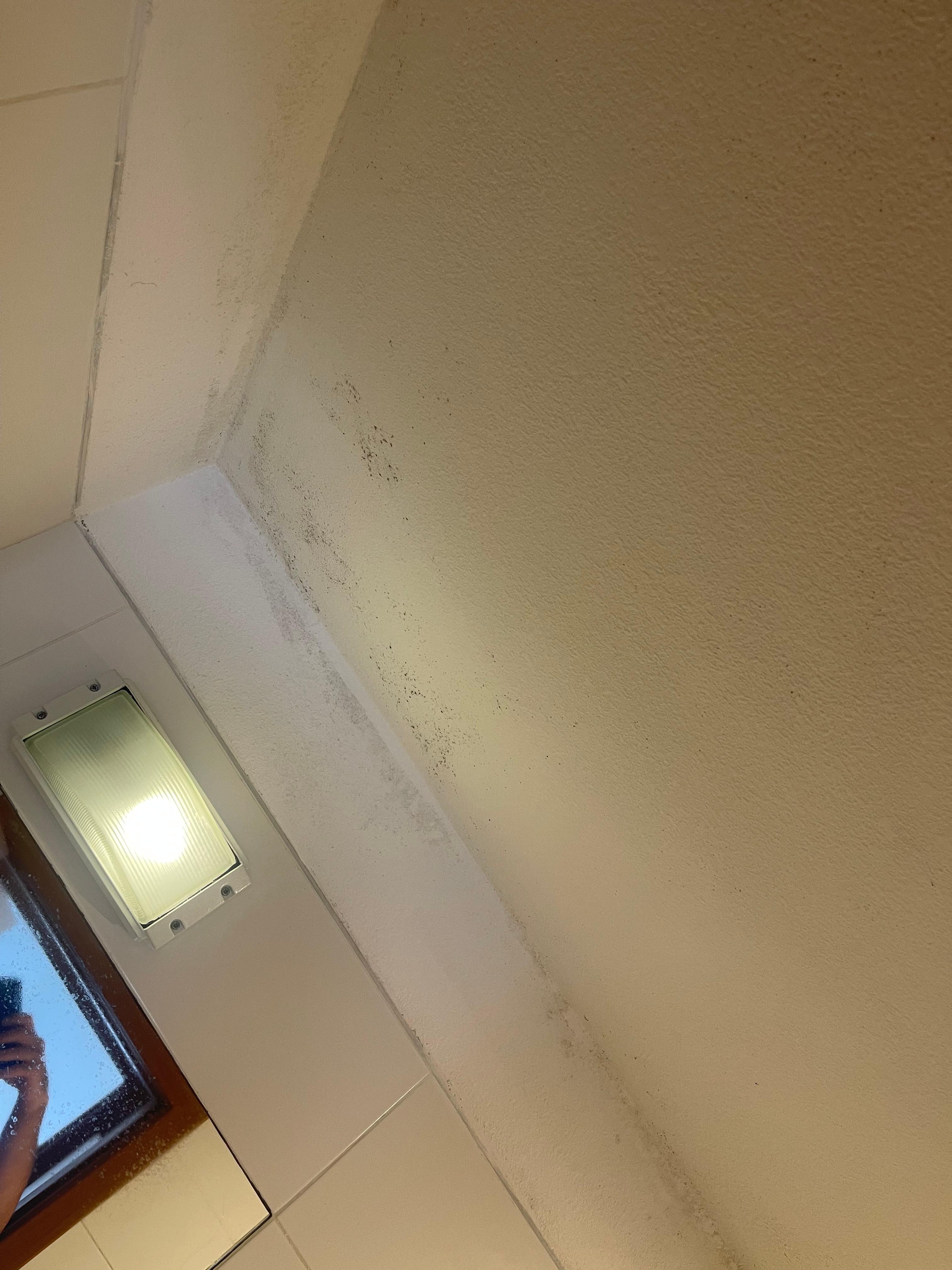 Banheiro todo mofado 