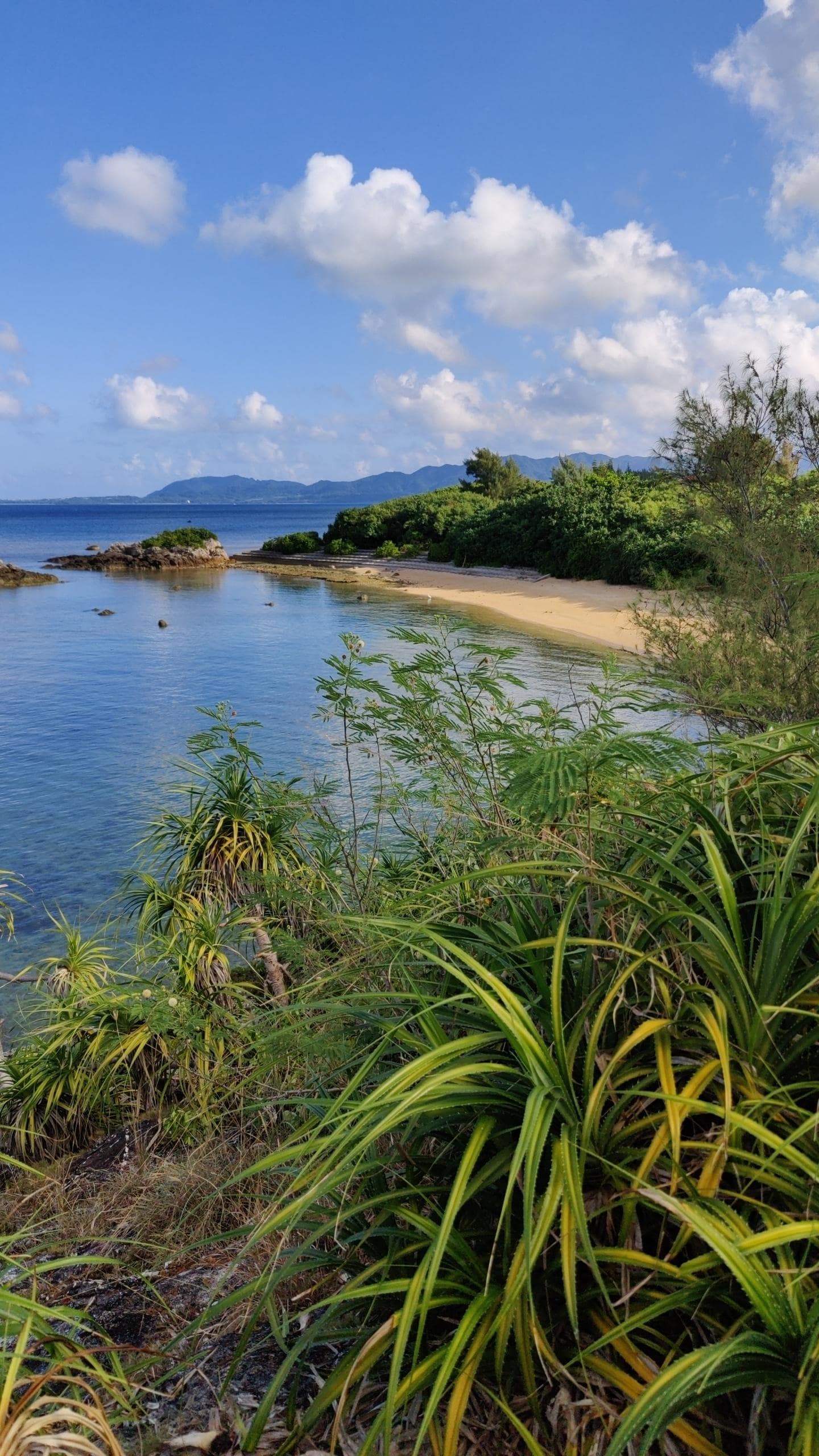 Farther up after strolling on the promenade