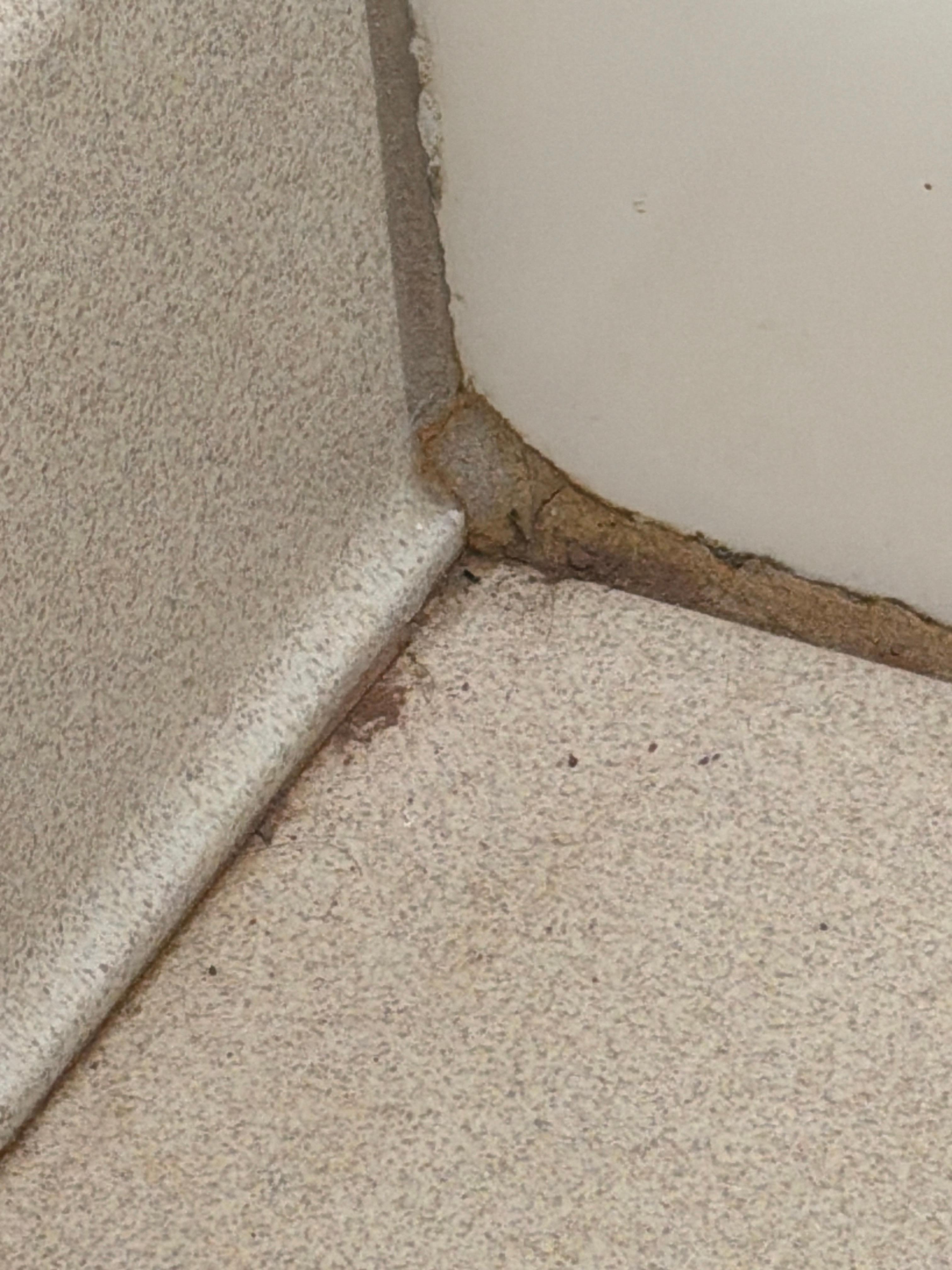 I would show a picture of the toilet upon my arrival but I had to use it so I cleaned it myself. It was disgusting. This is the corner by the toilet.