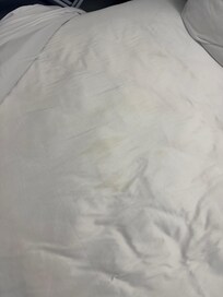 Not sure how housekeeping didn’t see this. It grossed me out.