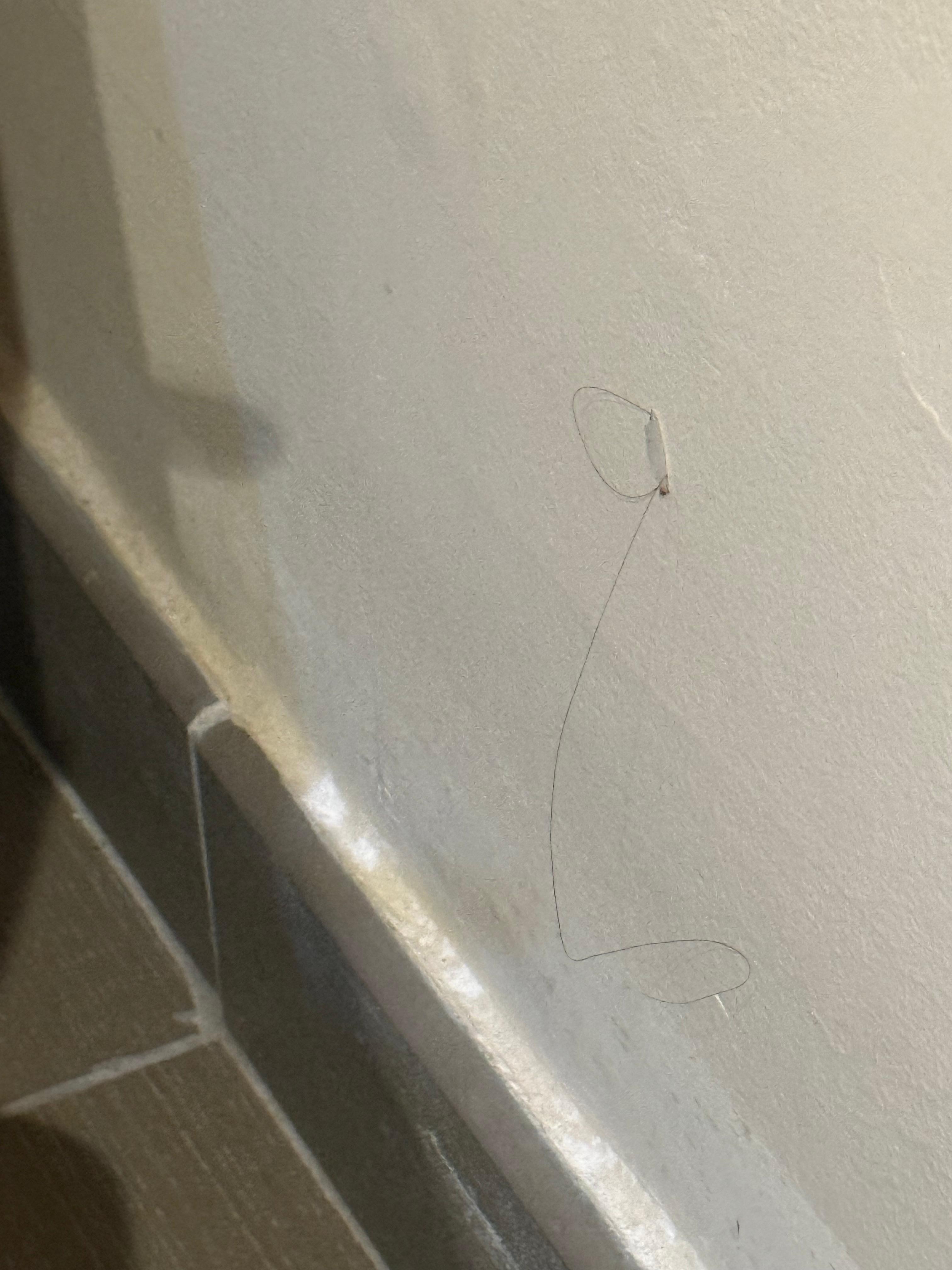 Hair stuck to our “clean” room