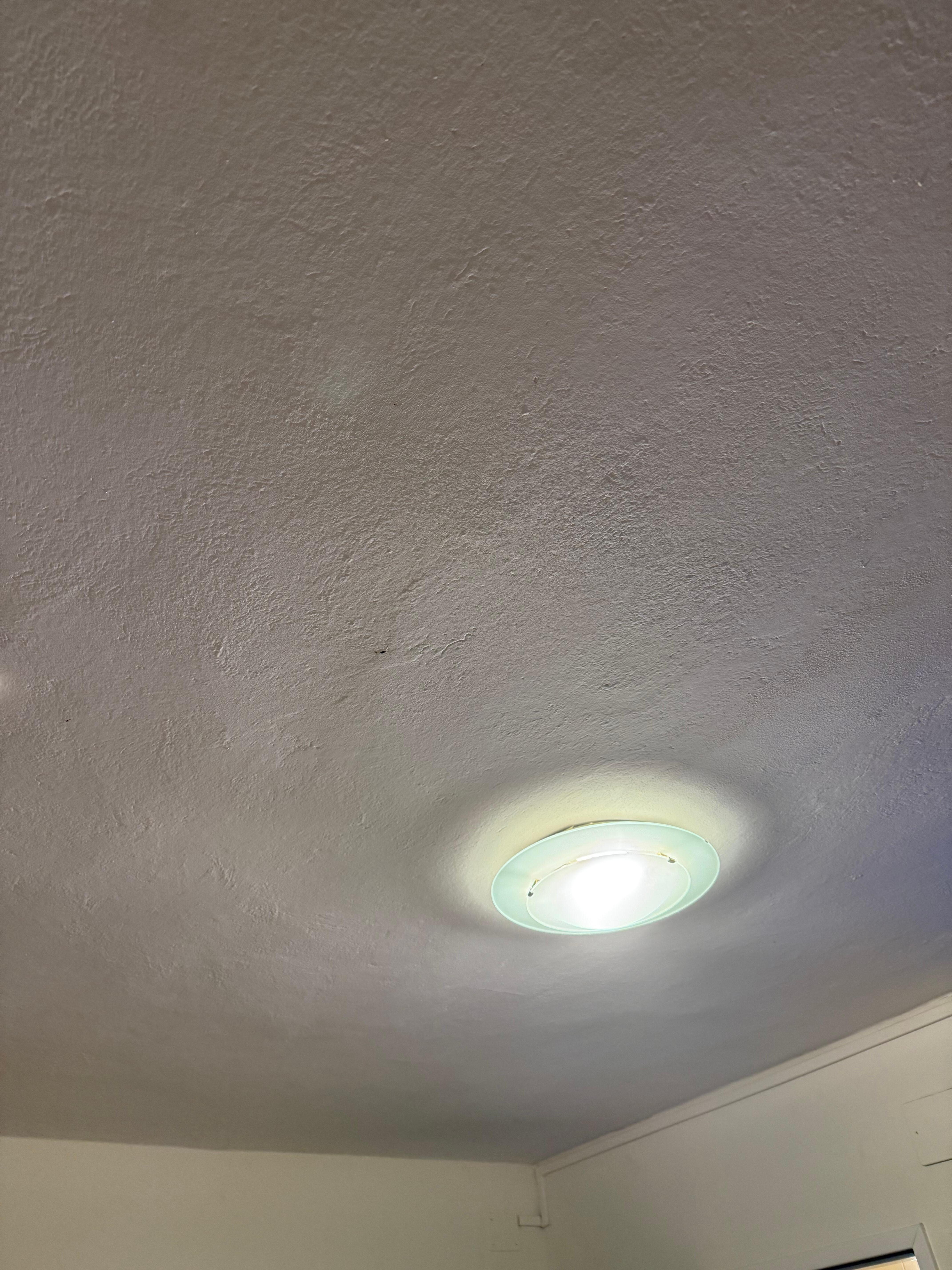 Mosquitos squished on the ceiling 