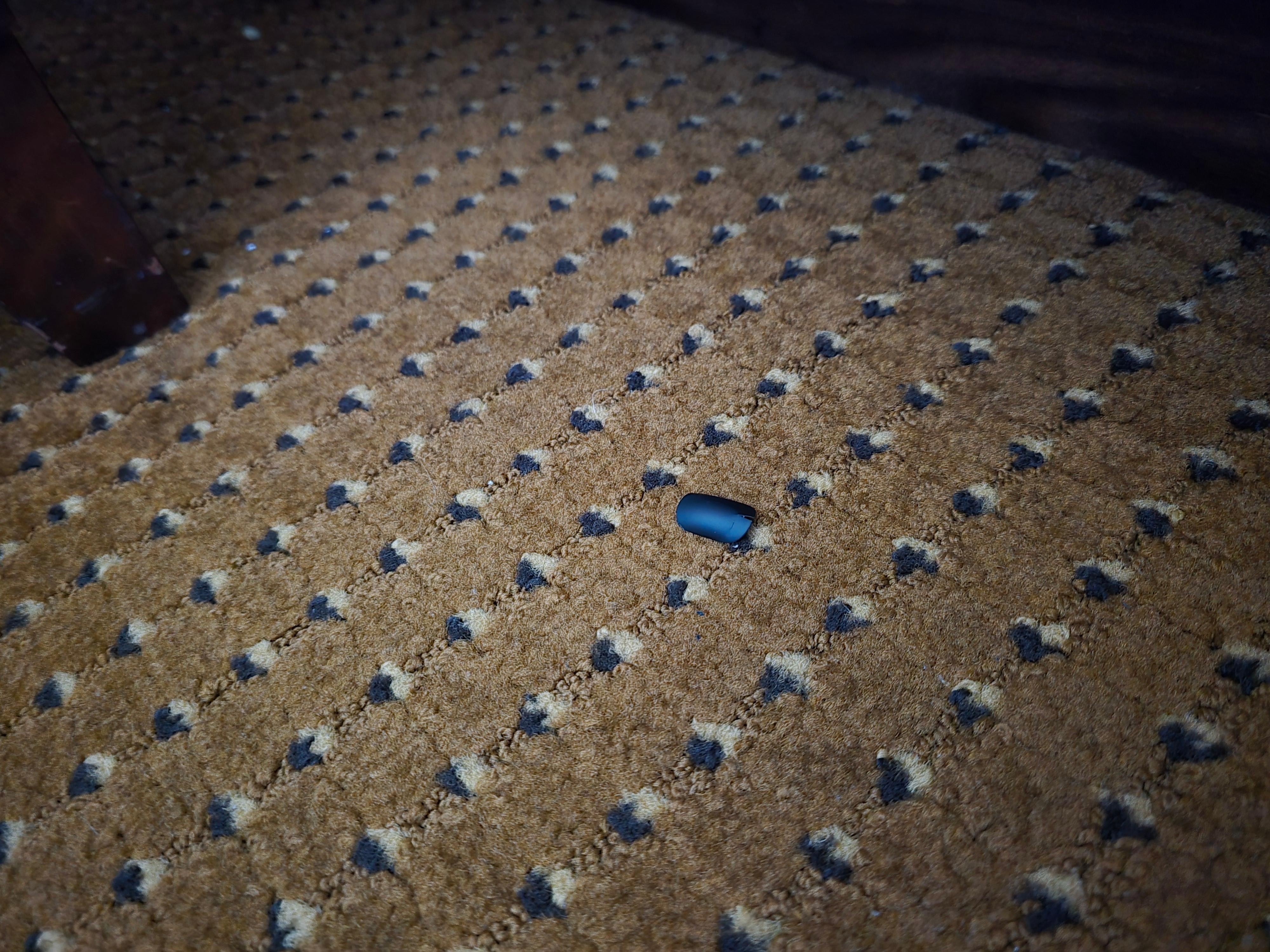 Press-on nails in the bedroom carpet. 
