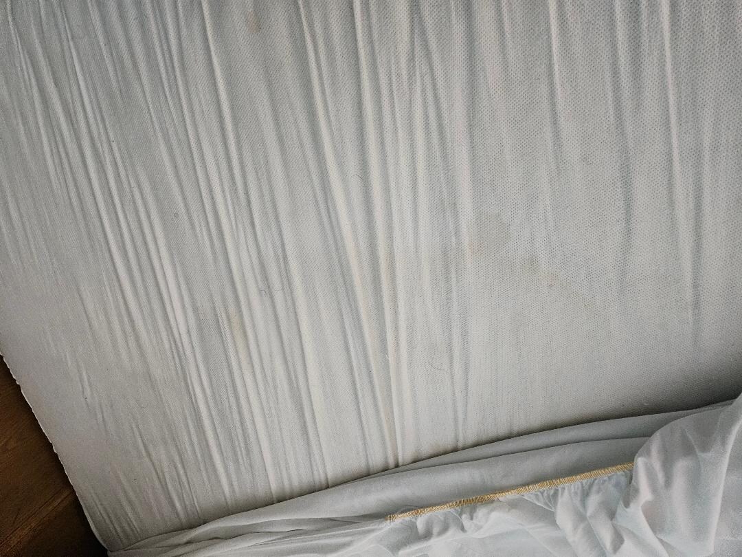 Soiled bedding