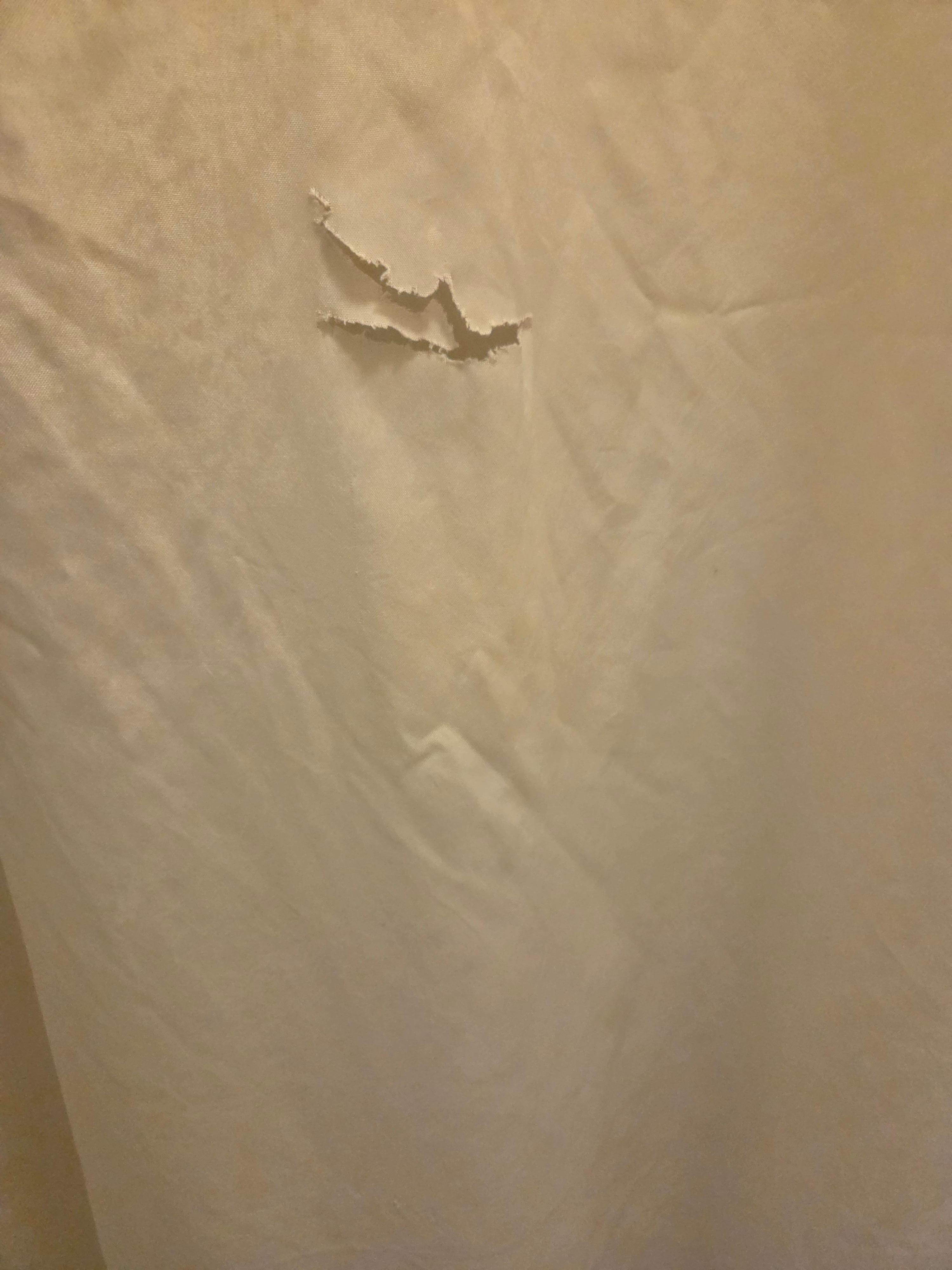 Holes in the shower curtain 