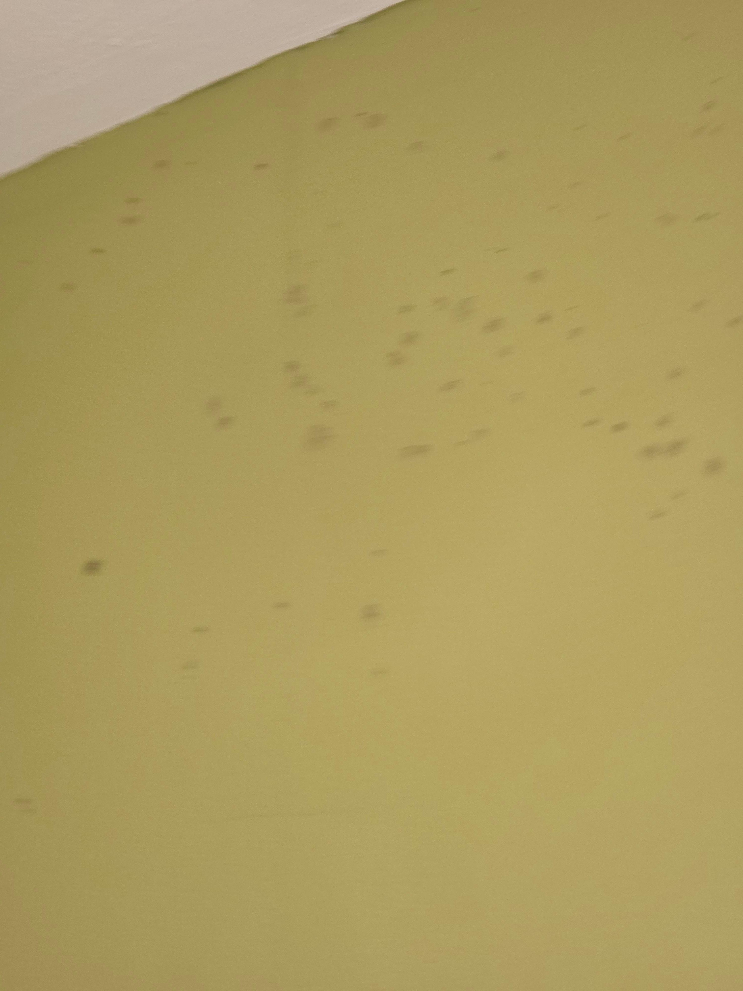 Black mold