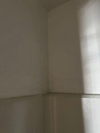 Mold in corner.  Dim light due to bathroom lightbulb need of replacement.