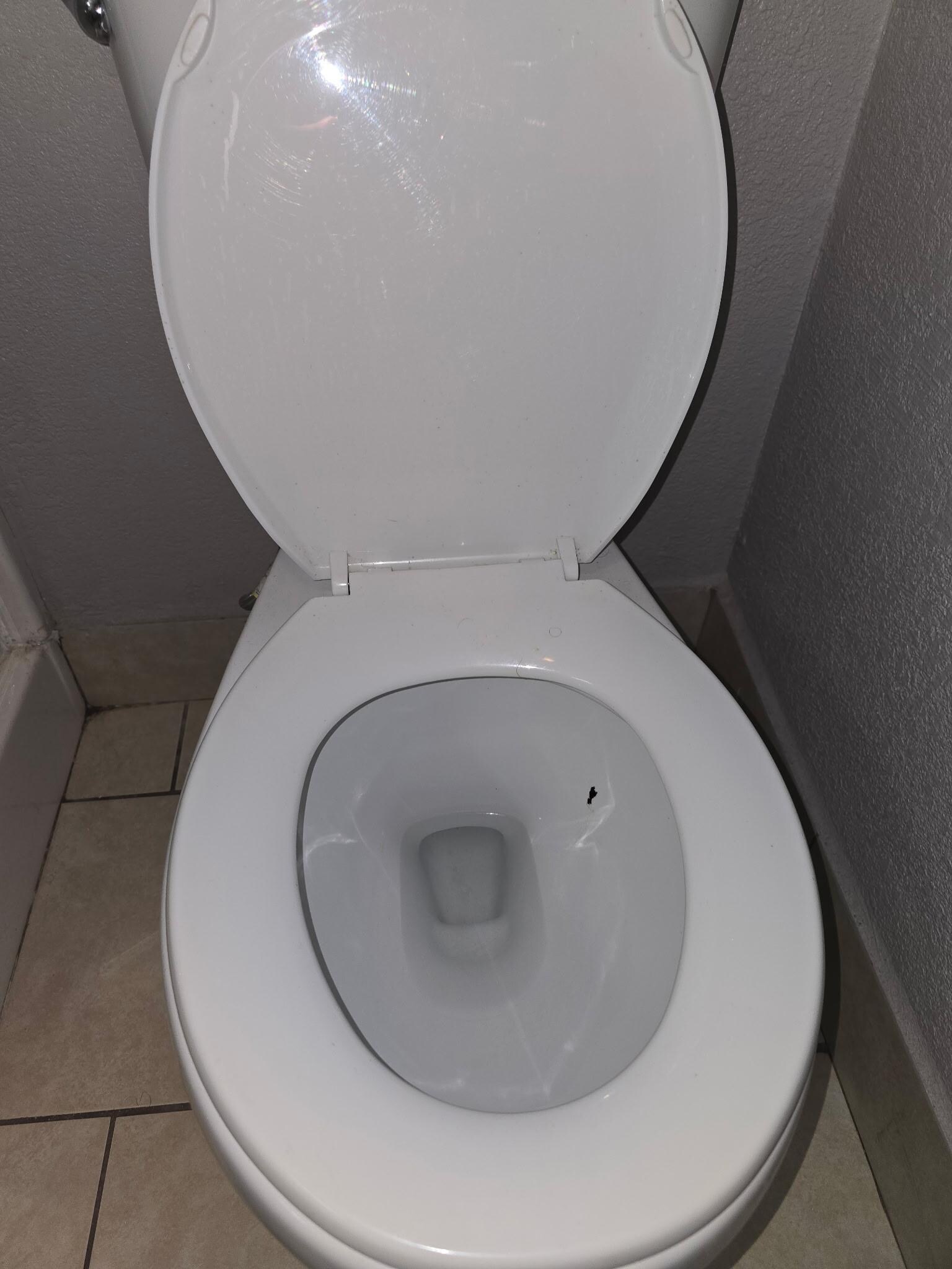 Crappie on the toilet