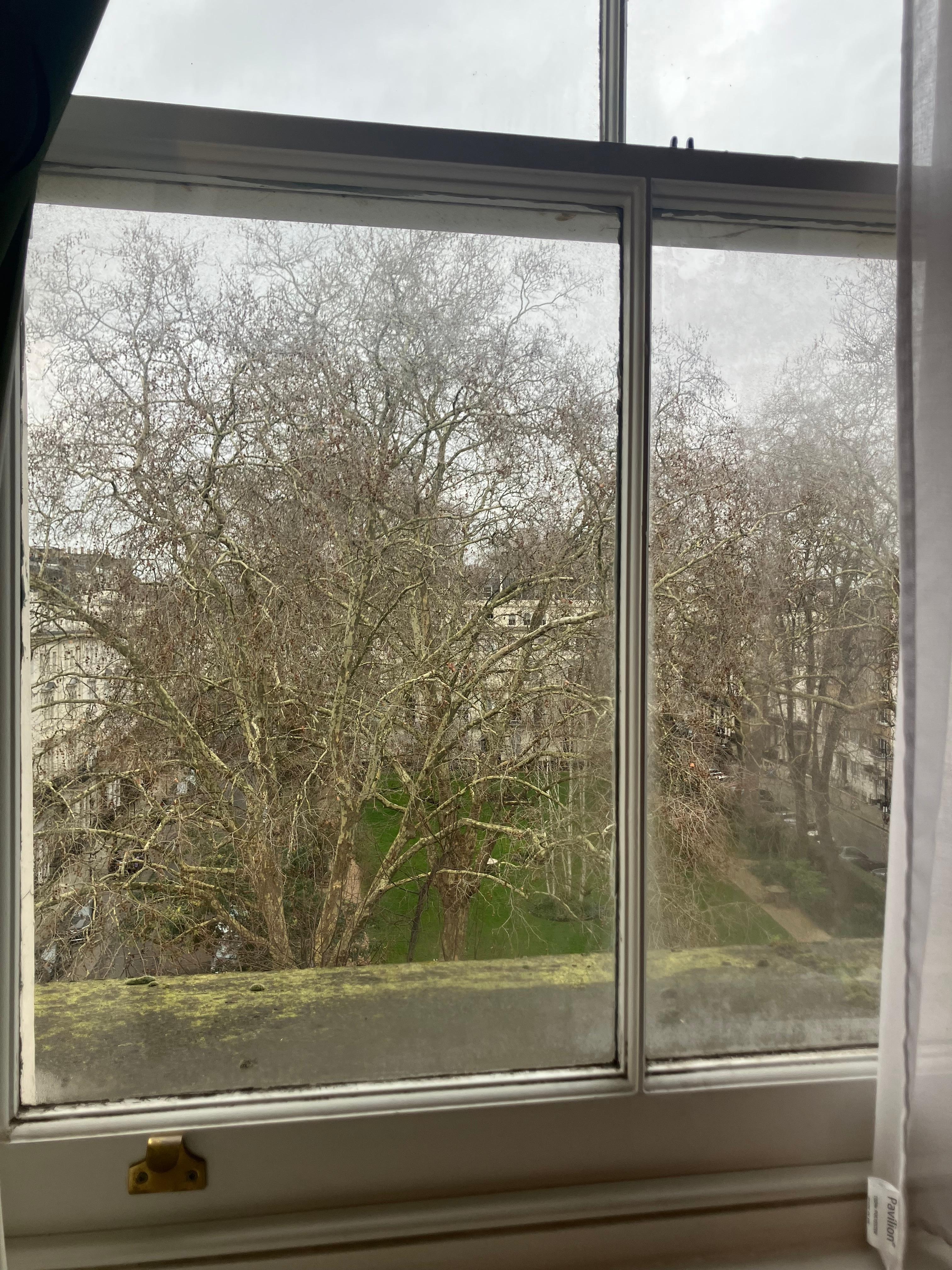 4階ルーム#2からの景色