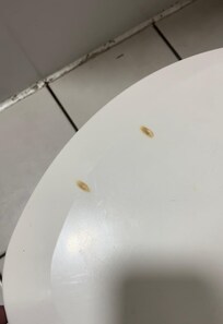 Meth pipe on the toilet? Yes!