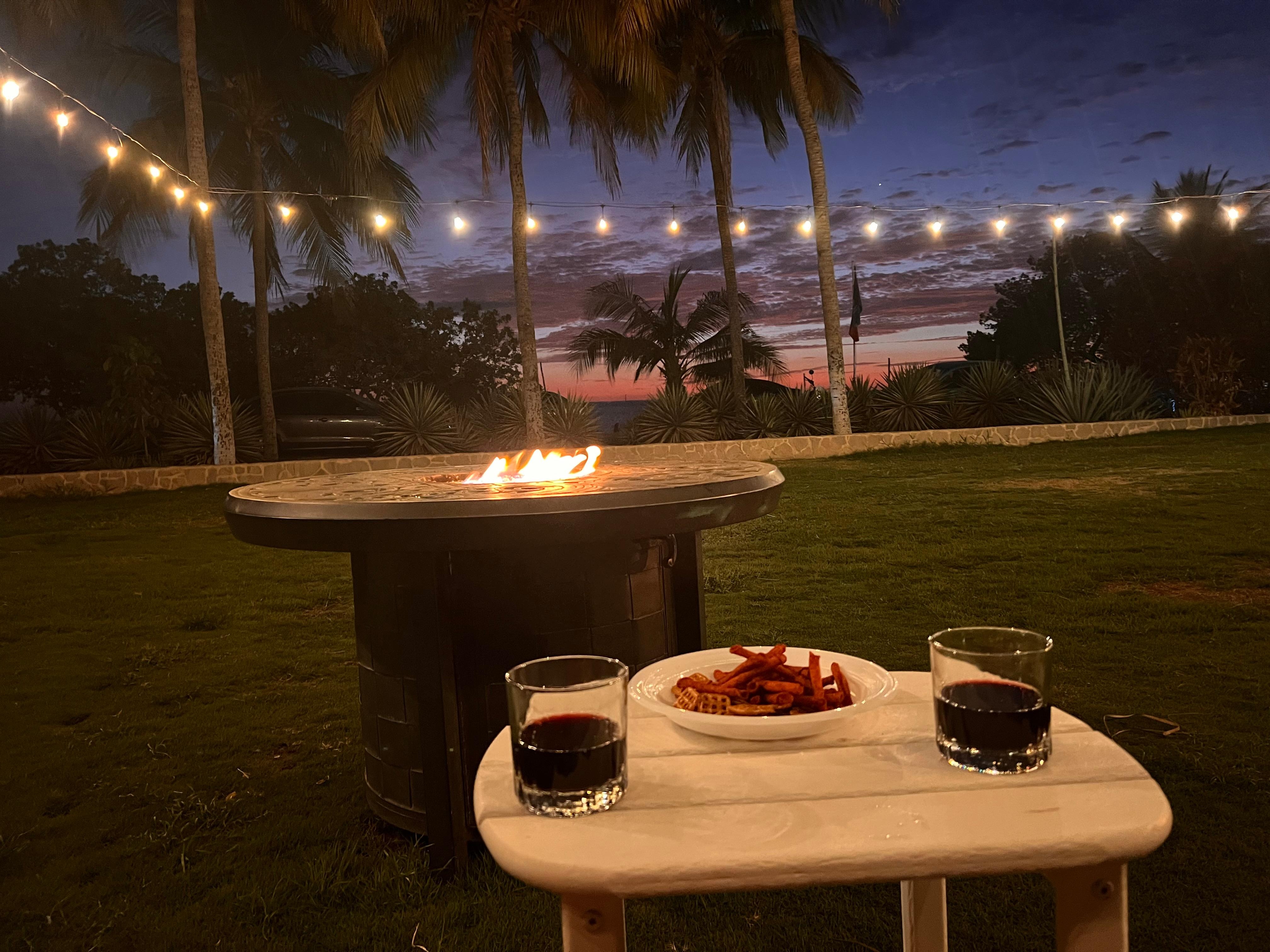 La vue sur le jardin 