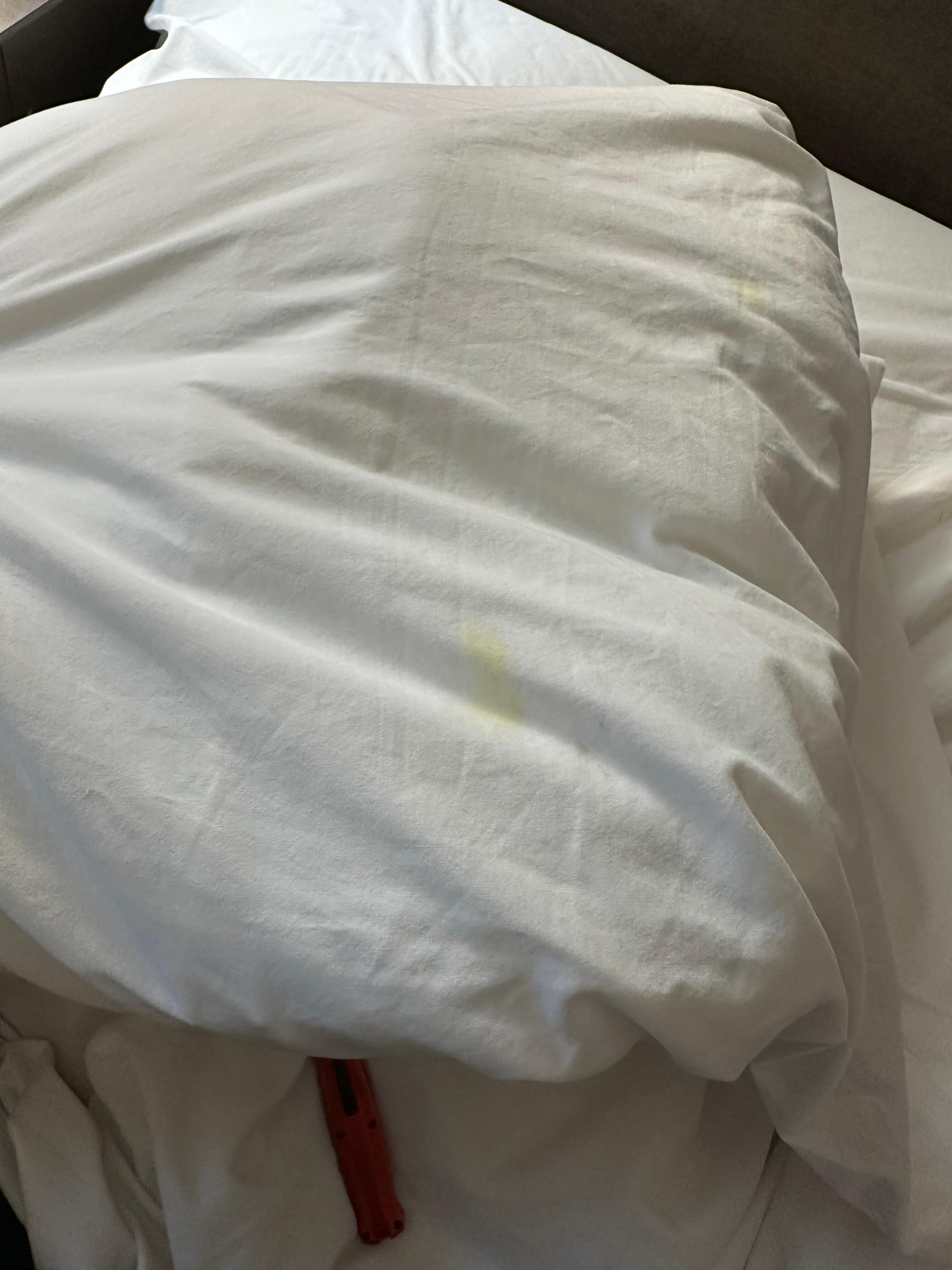 1 of a few gross stains on pillows