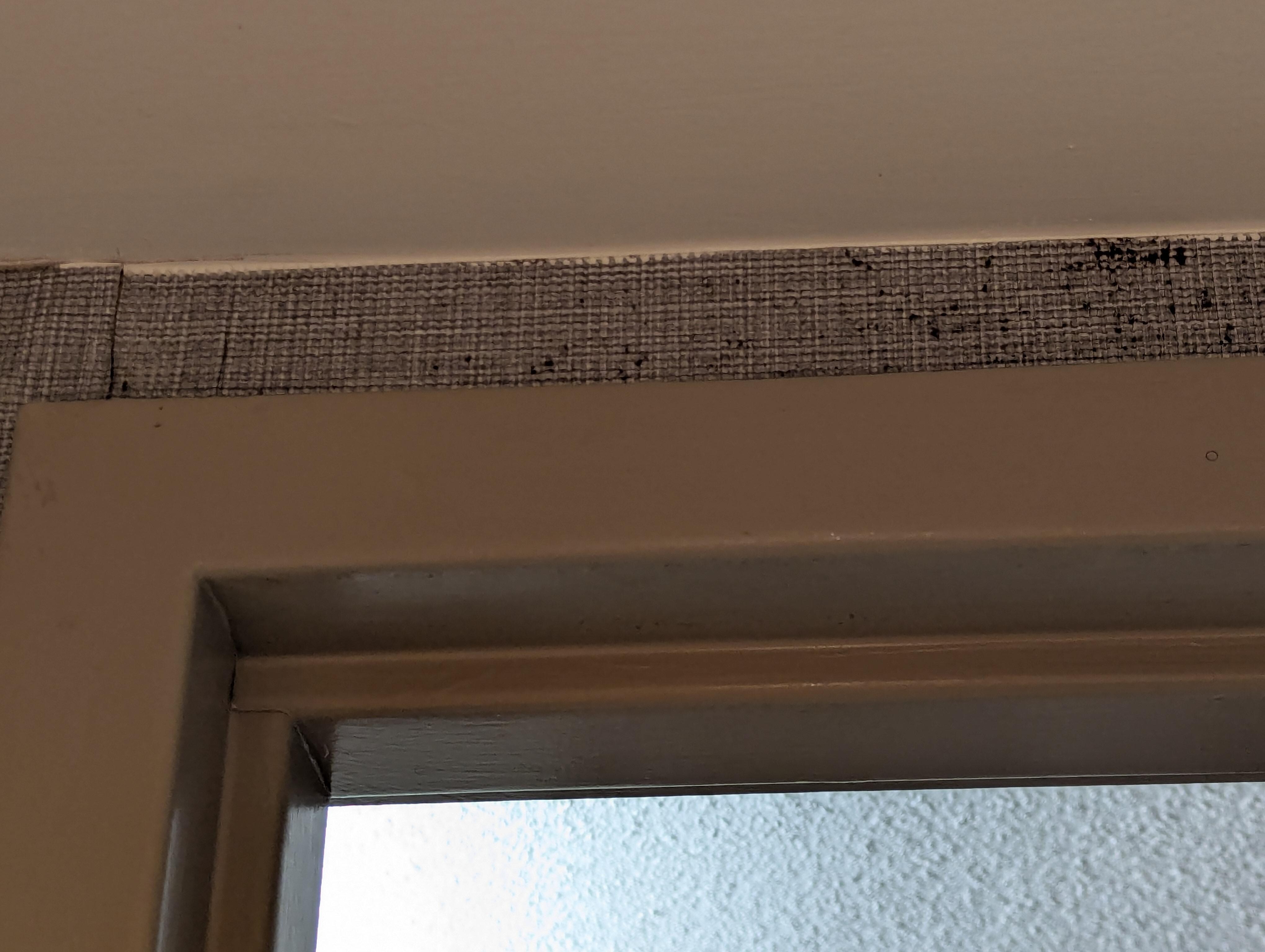 Mold? In bathroom above door.