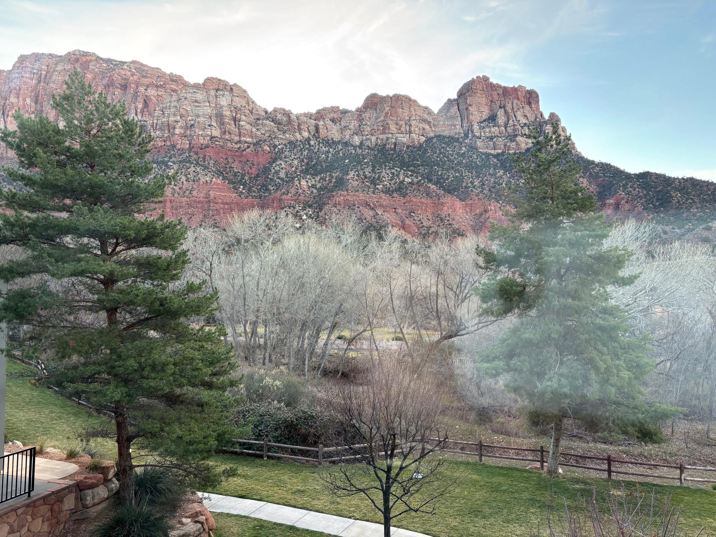 View from room window