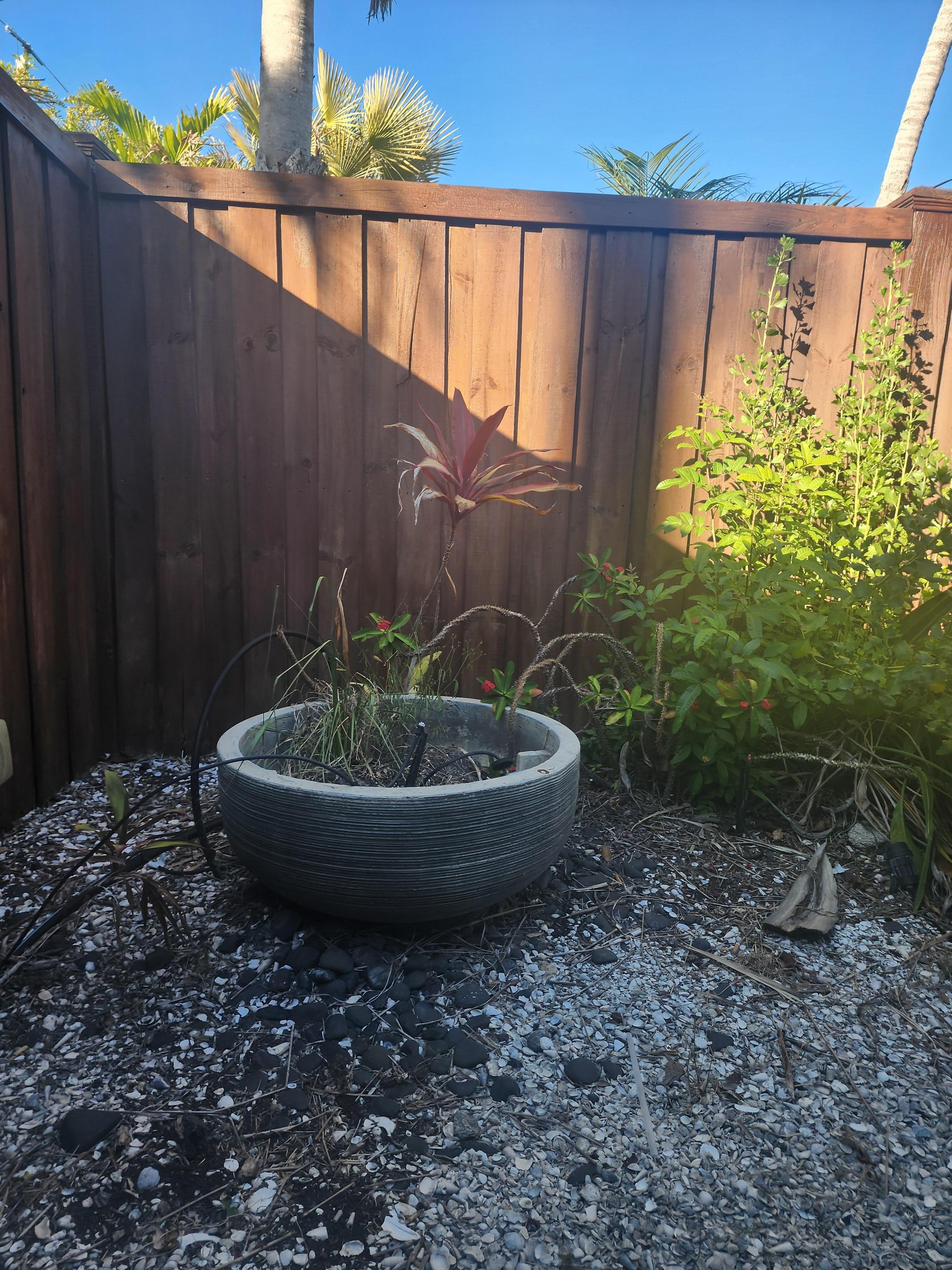 Horrible patio area. Loaded with weeds.