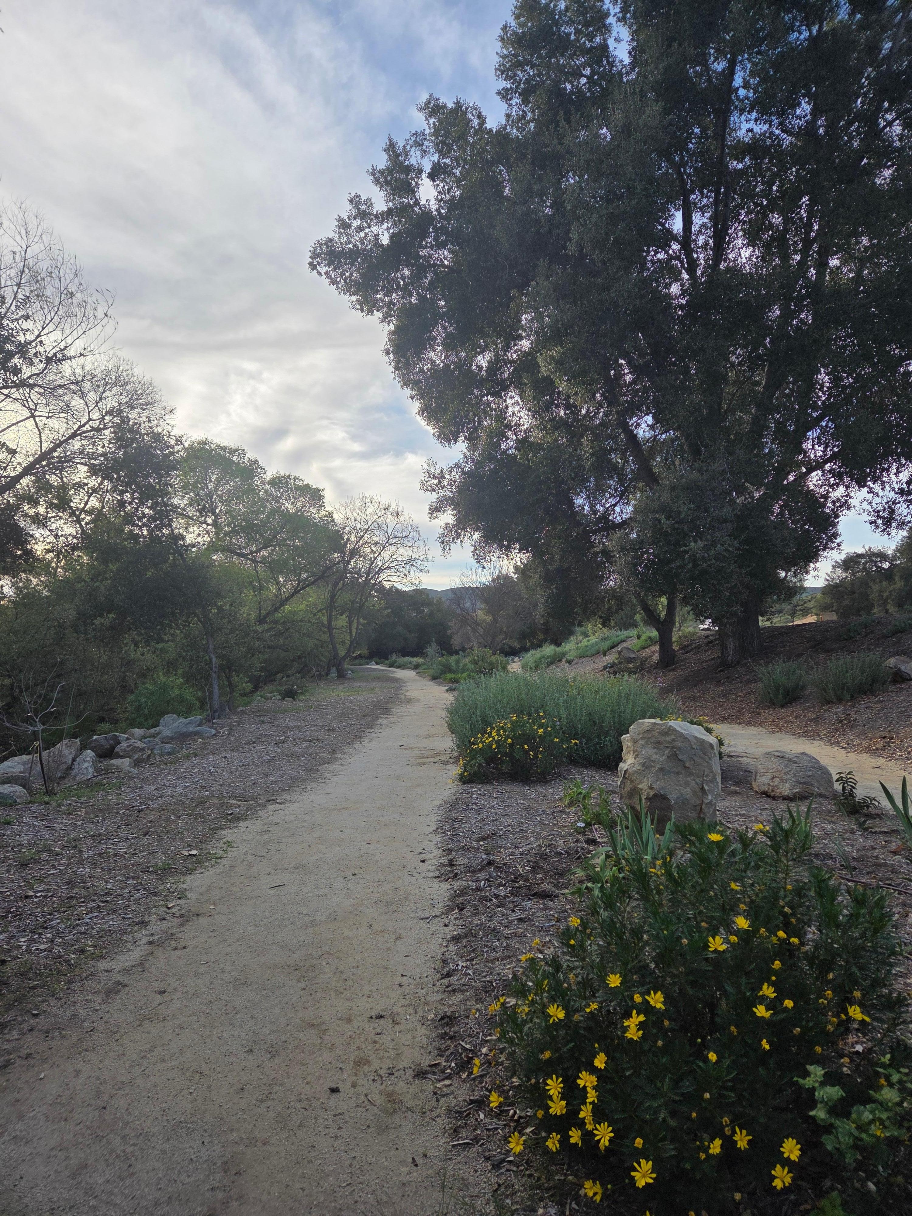 Nature trail near courts