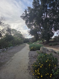 Nature trail near courts