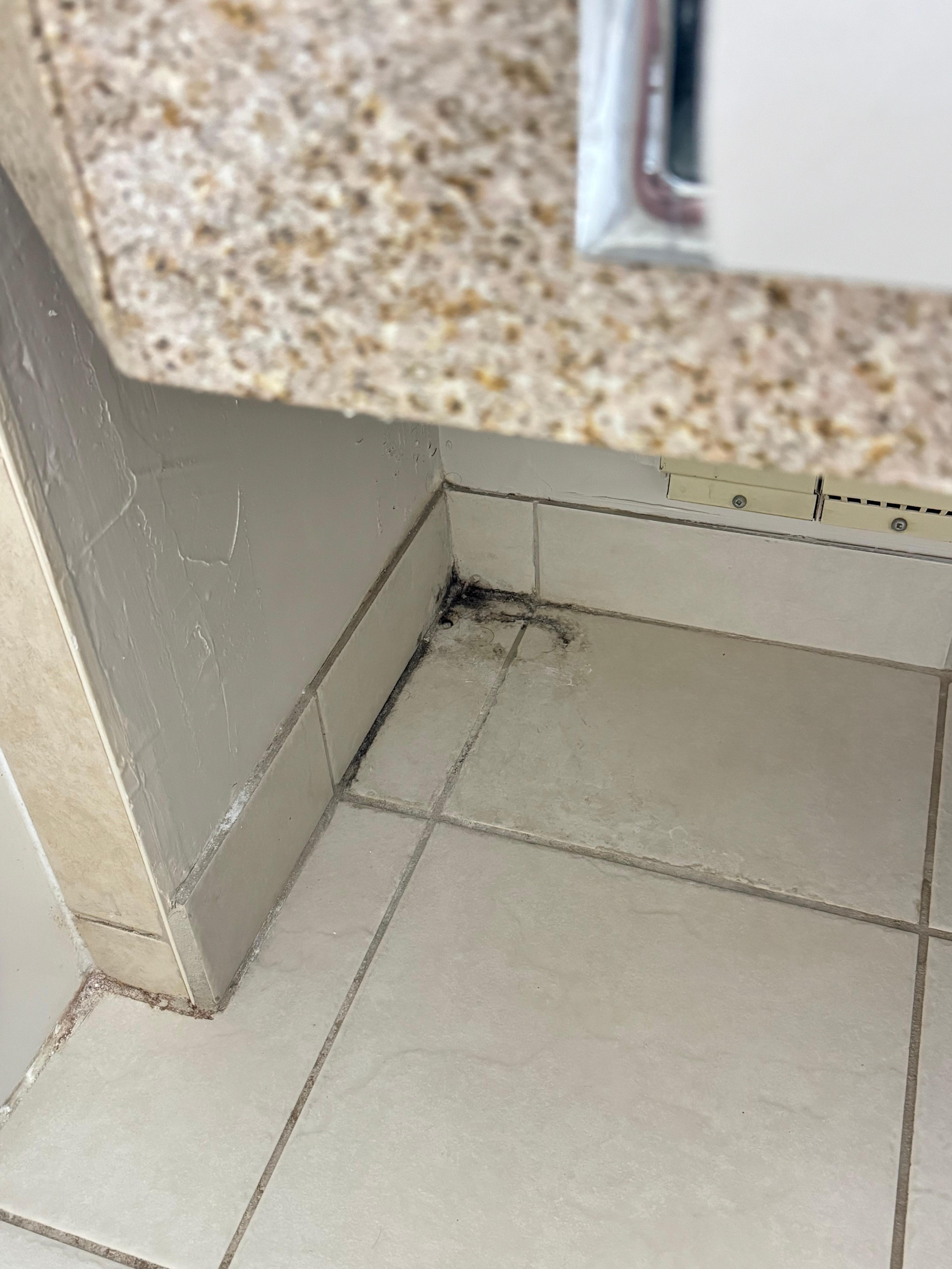 Quite dirty under the sink