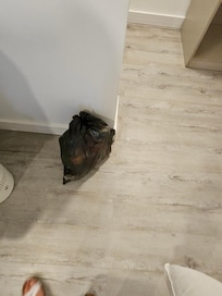 Poubelles des résidents precedents