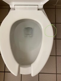 Pubic hair on toilet seat as soon as we walked in