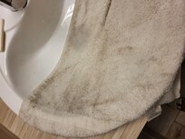 The towel I washed the floor with