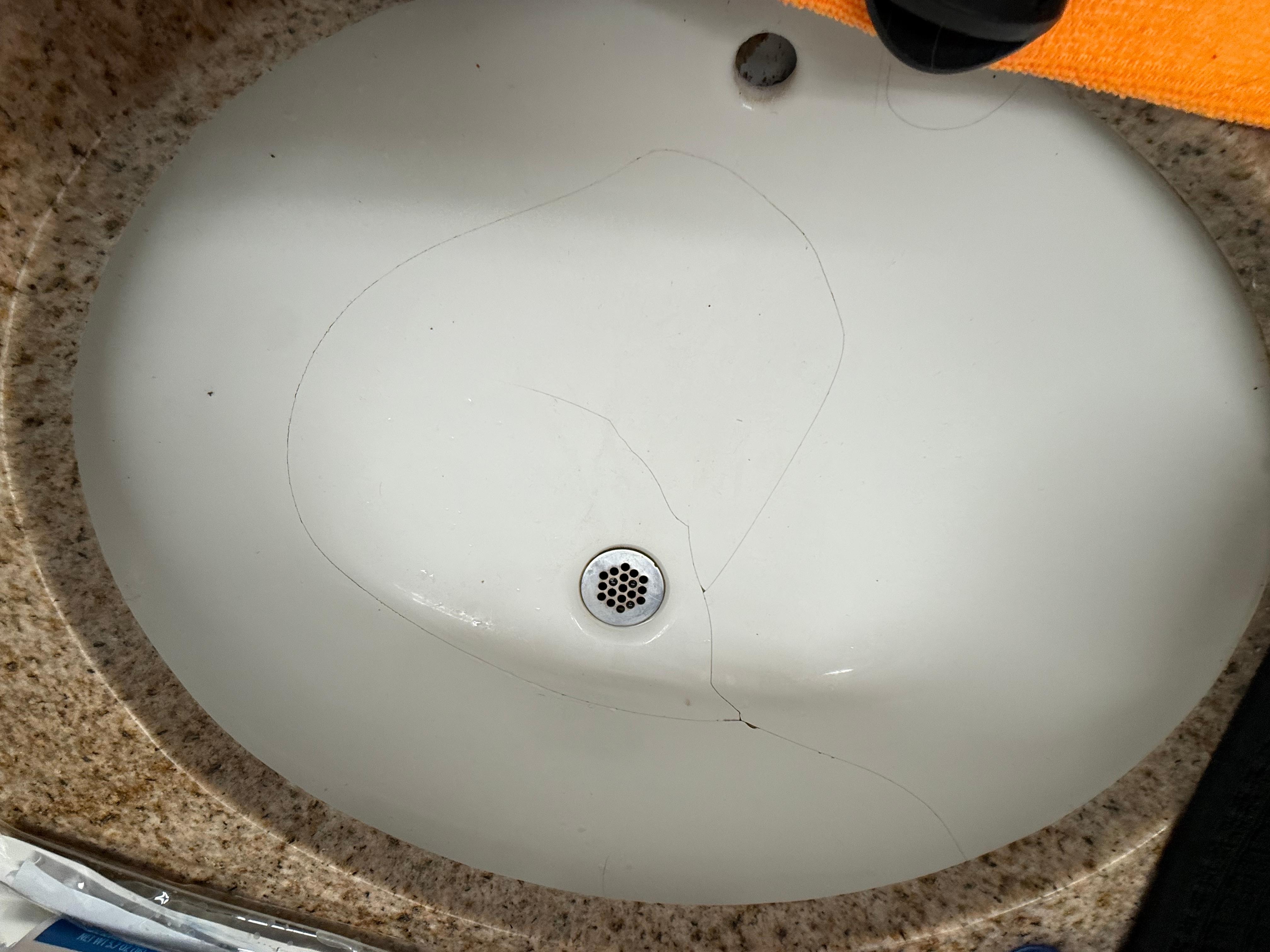 Crack bathroom sink where bugs keep sprouting