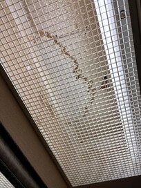 Above the bathroom sink the light was disgusting