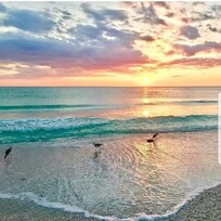 Beautiful Beaches close by !