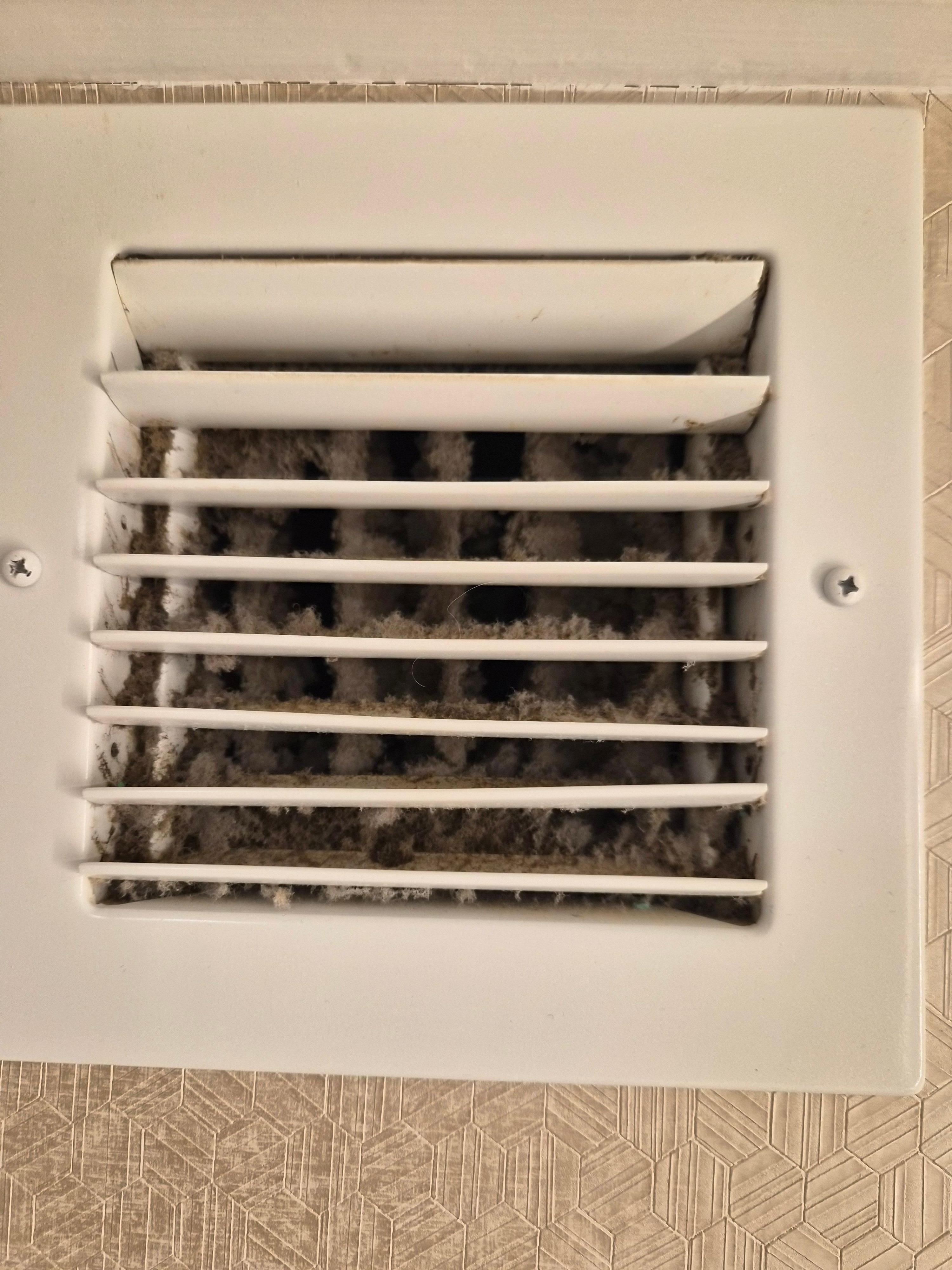 Bathroom vent