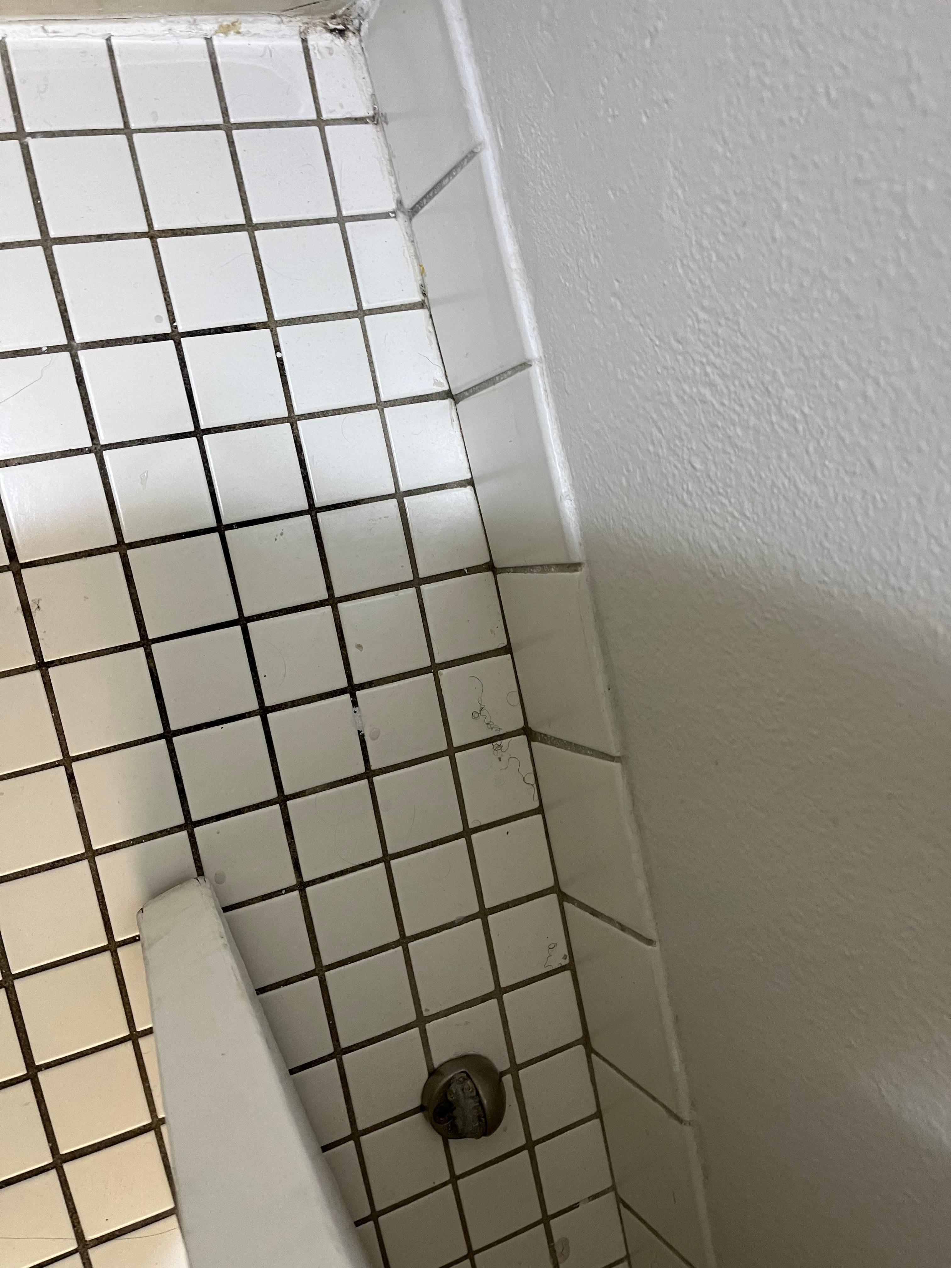 Piso imundo, com resto de cabelo de outros hóspedes. Prova que o banheiro não foi limpo. 