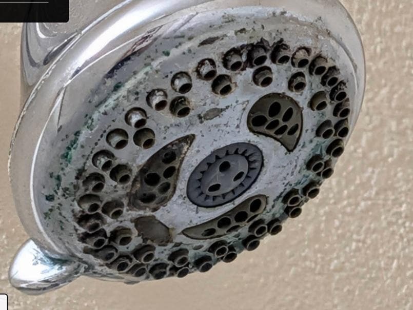 Hongos en el baño